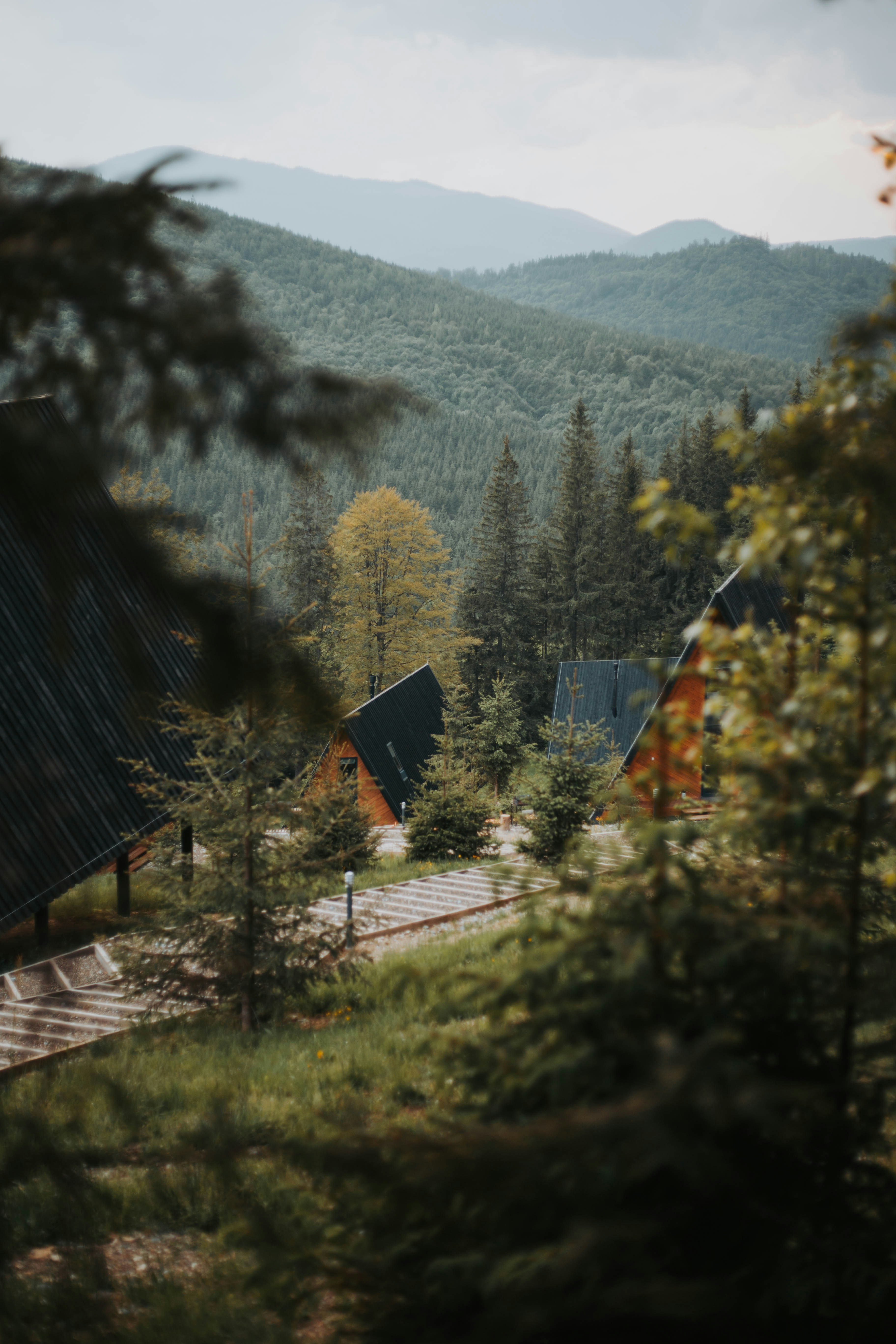 A forested hillside retreat with A-frame cabins tucked among evergreens