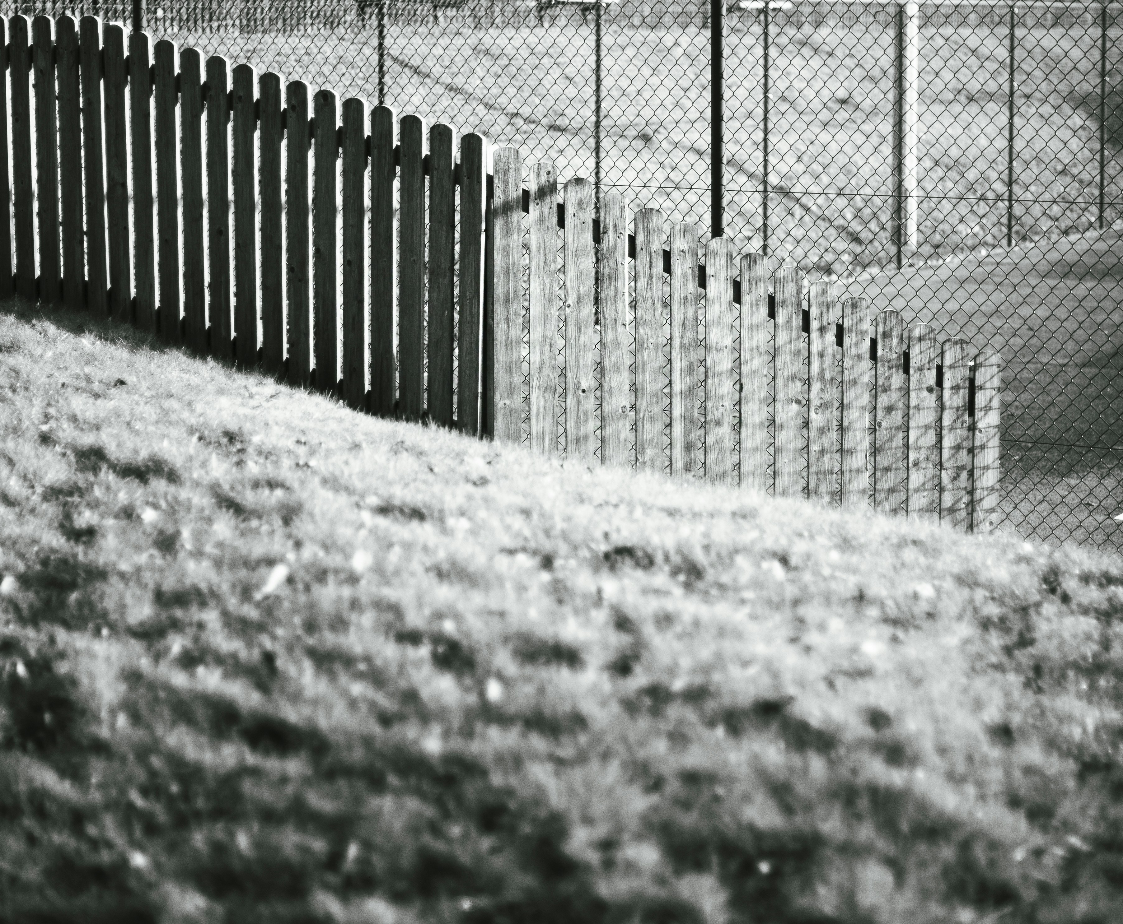 Parallel Lines and Quiet Slope: A Fenced Field in Mono