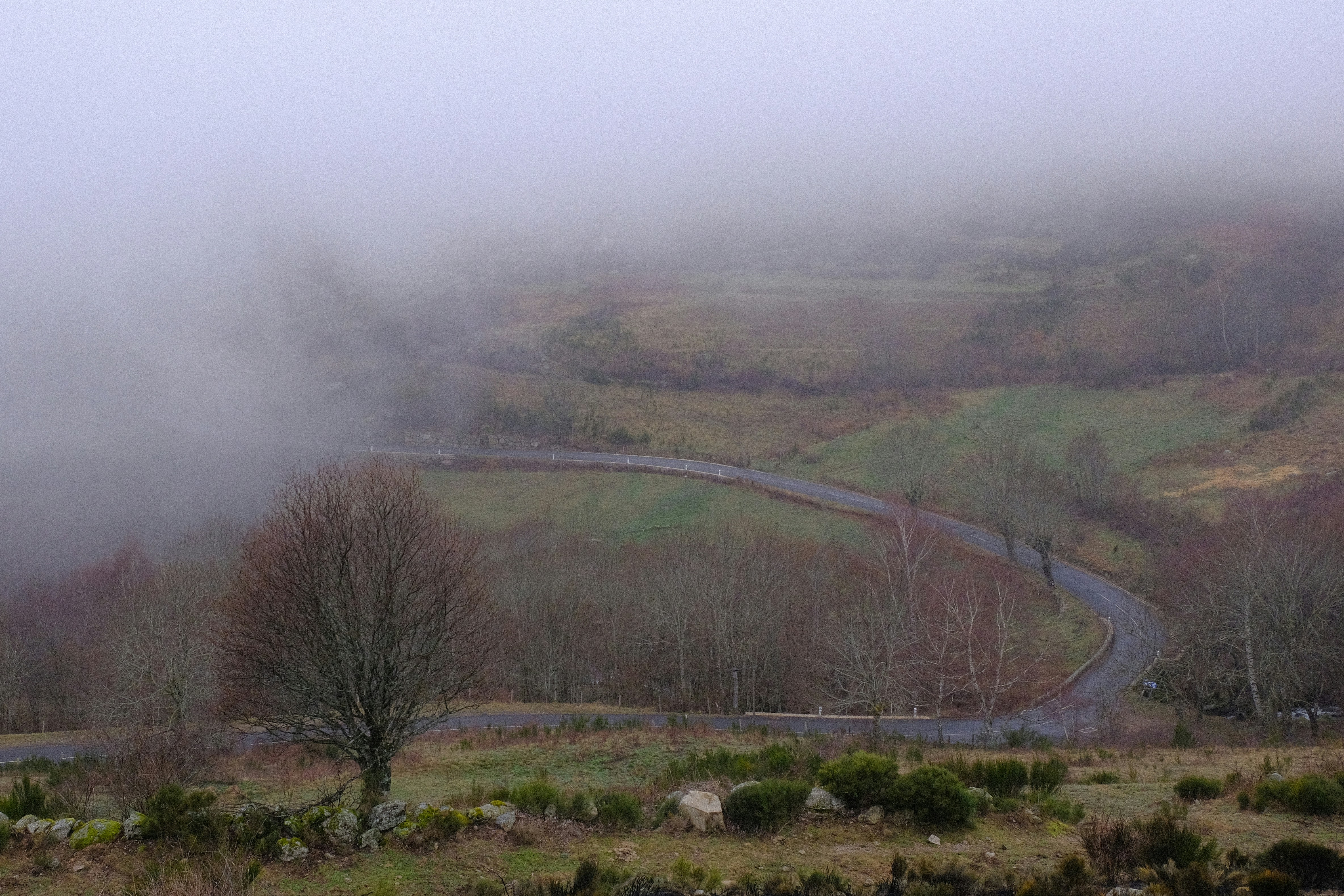 Mist-Laced Road Through Quiet Highlands