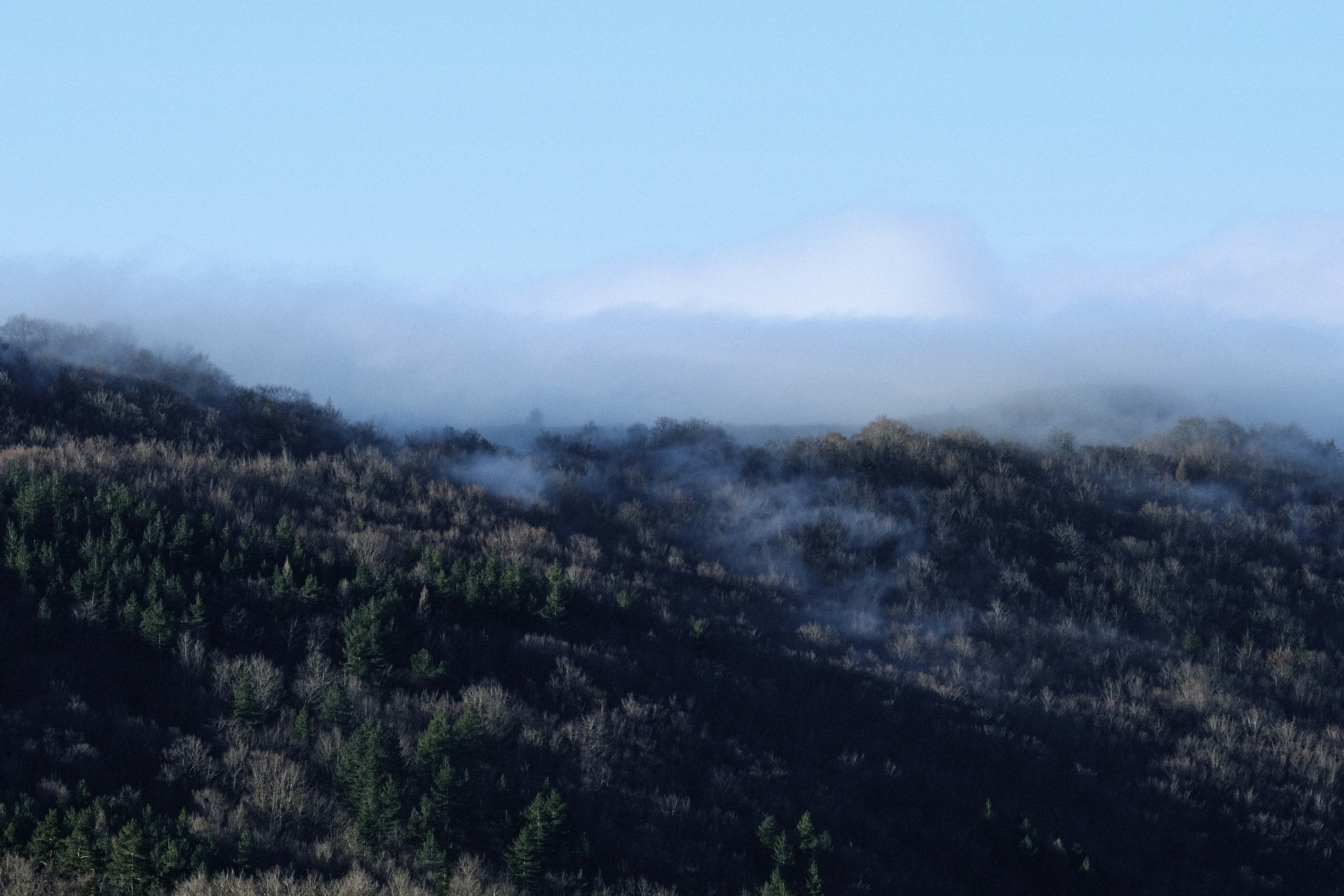 Mist over the forest ridge at dawn