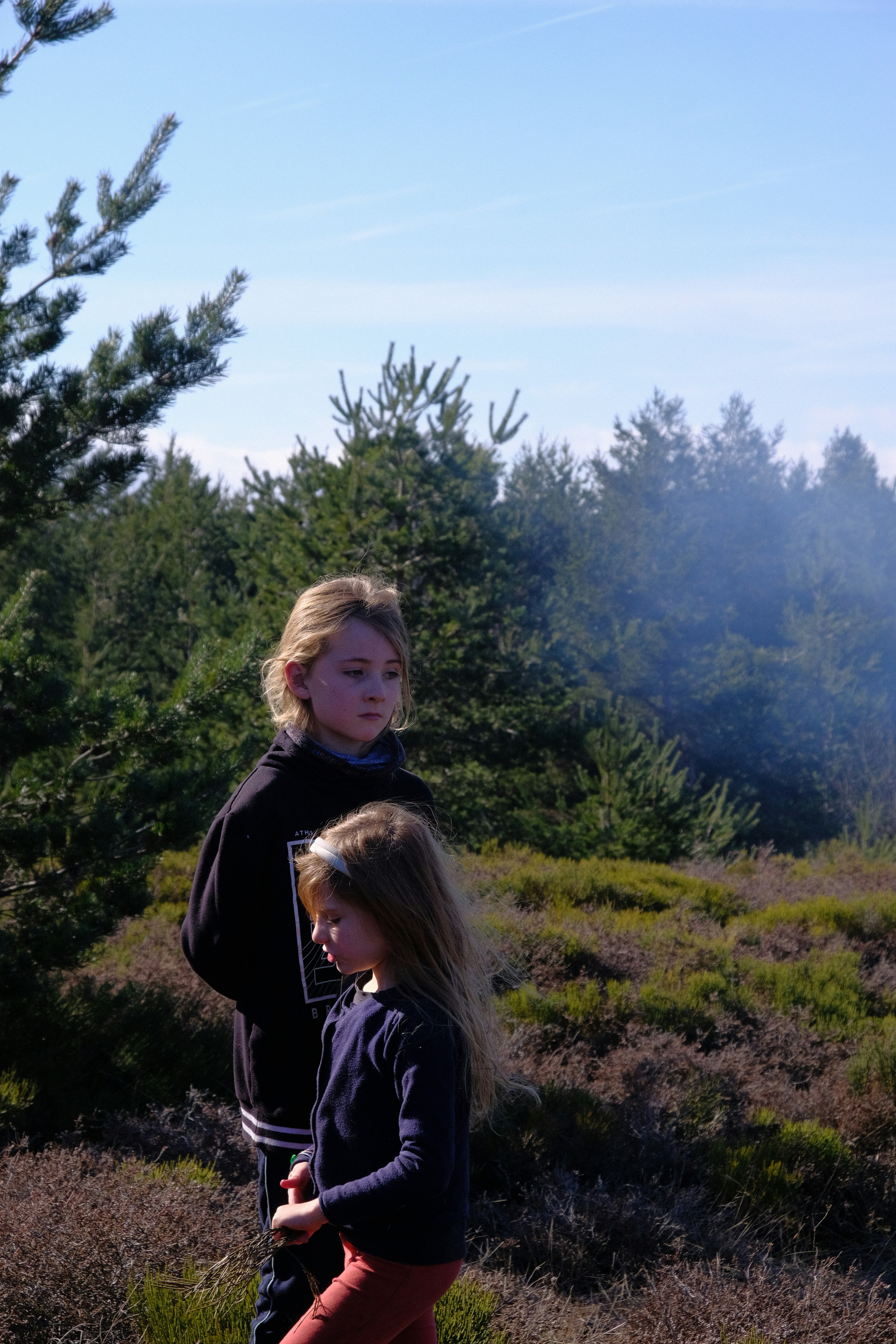 Two Silhouettes in a Heath Field Beneath a Blue Sky