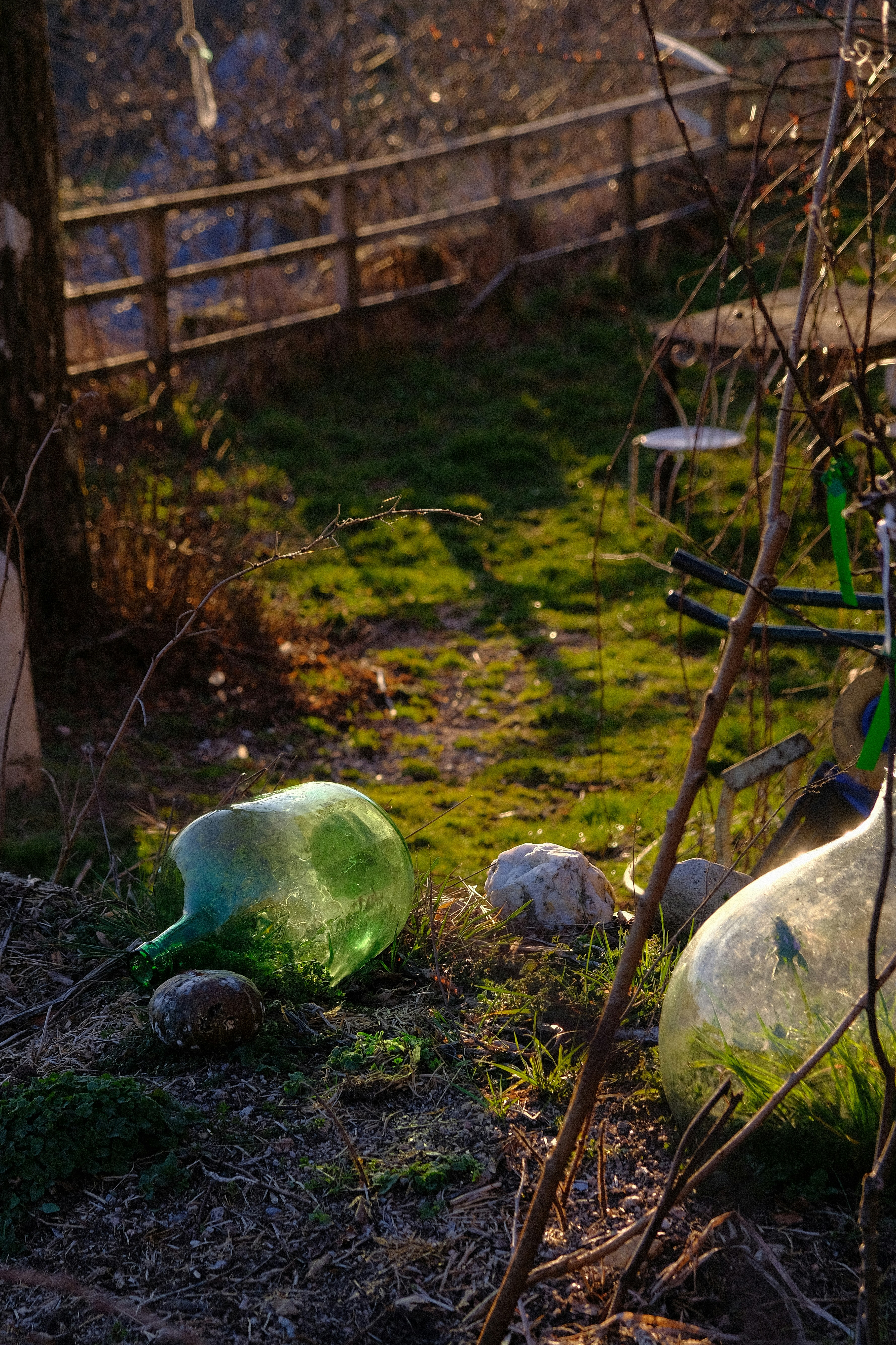 Forgotten Garden: Sunlit Bottles Among Weeds