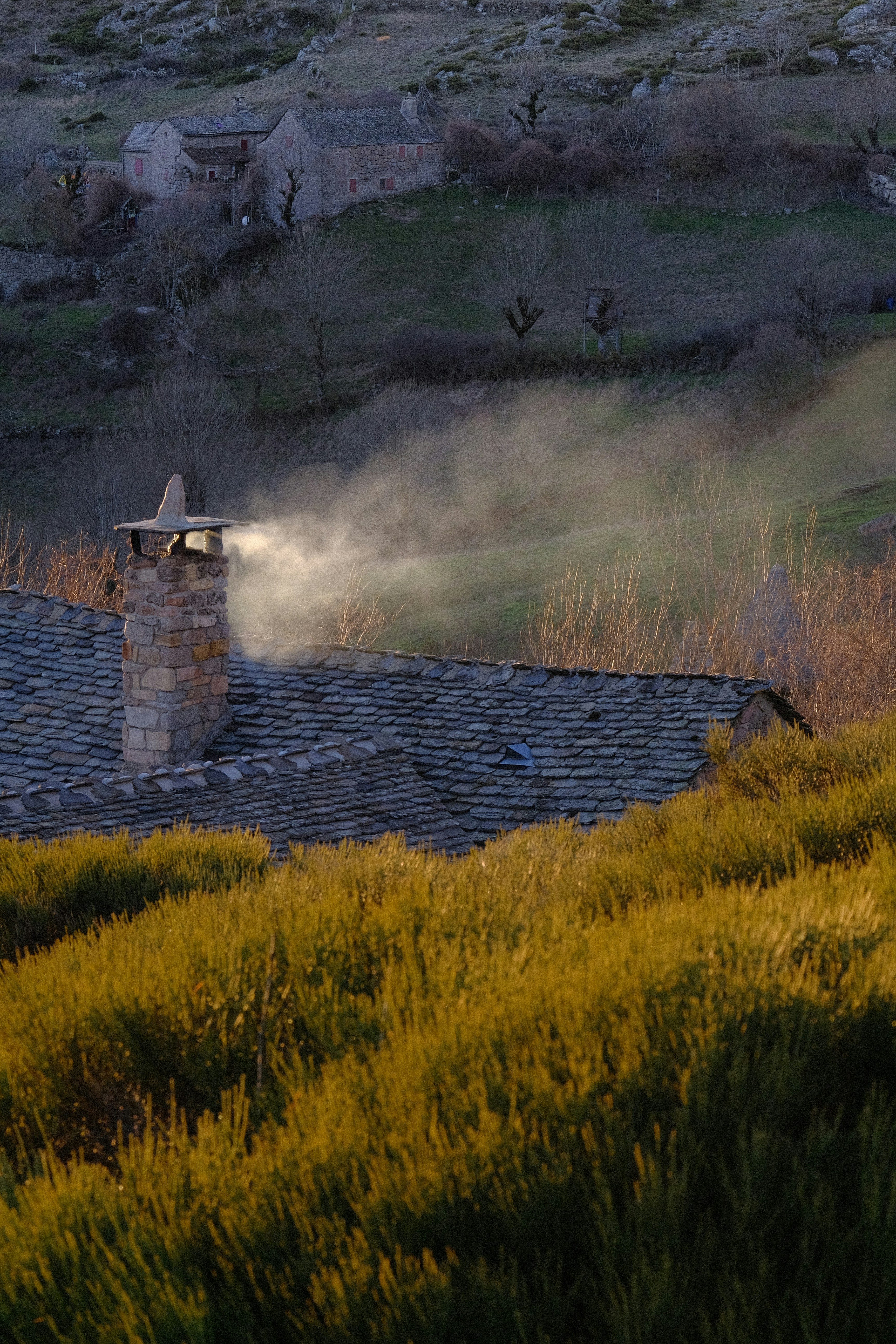 Chimney Whisper: Steam Curling from Slate Roof in Golden Evening