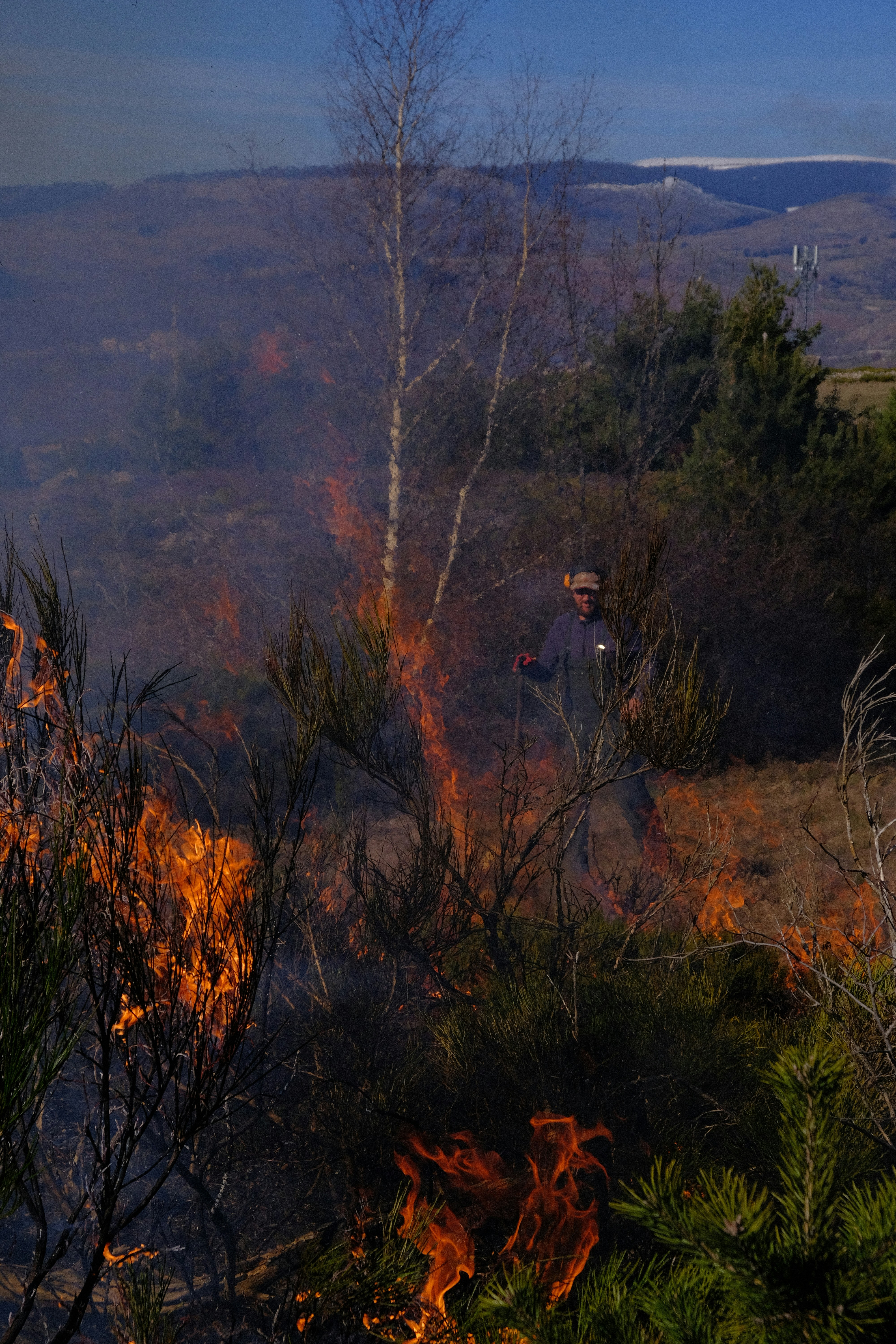 Flames at the Edge: A Lone Observer Amid Field Fire