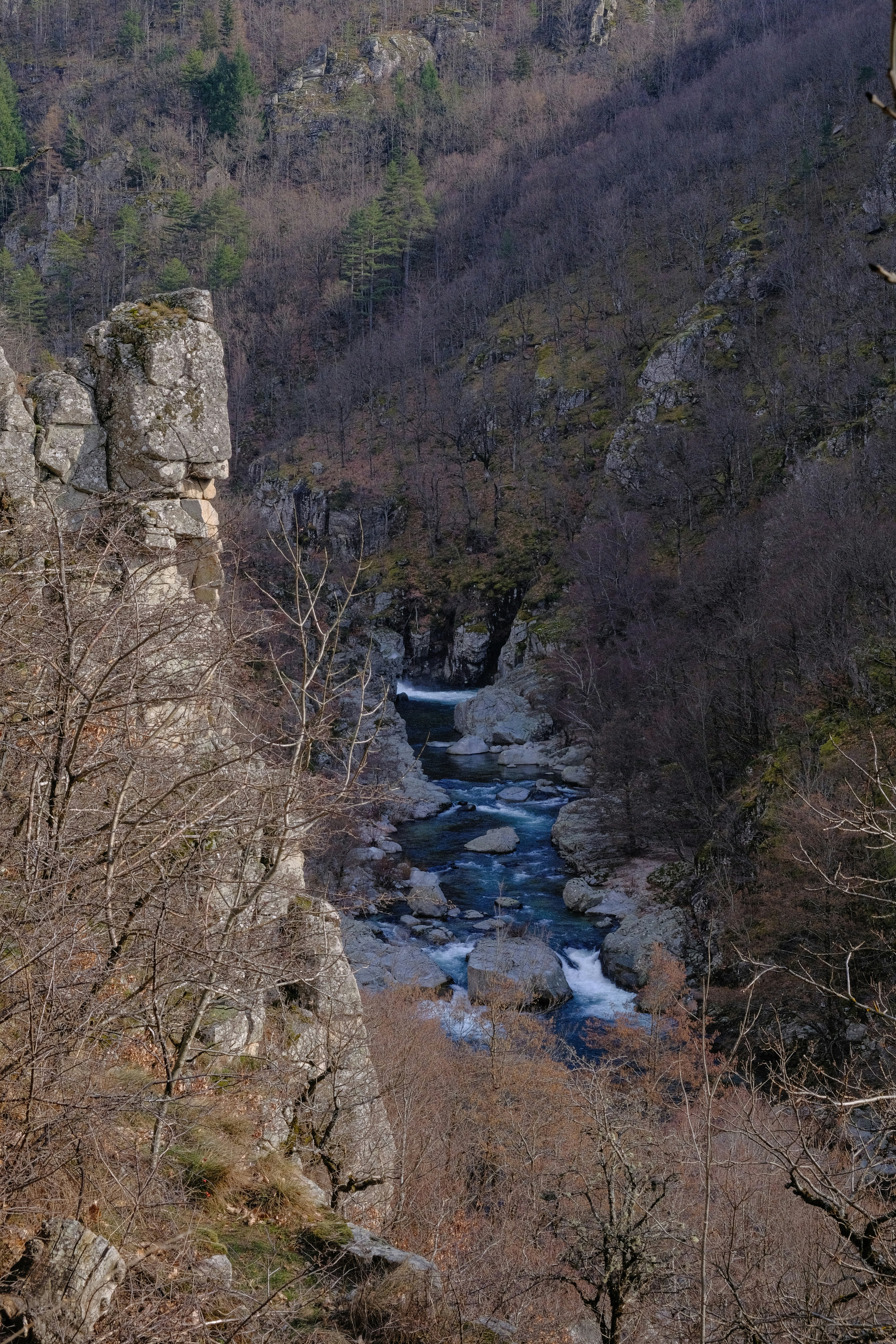 Rugged Gorge Funnel: A river cuts through weathered cliffs and leafless trees
