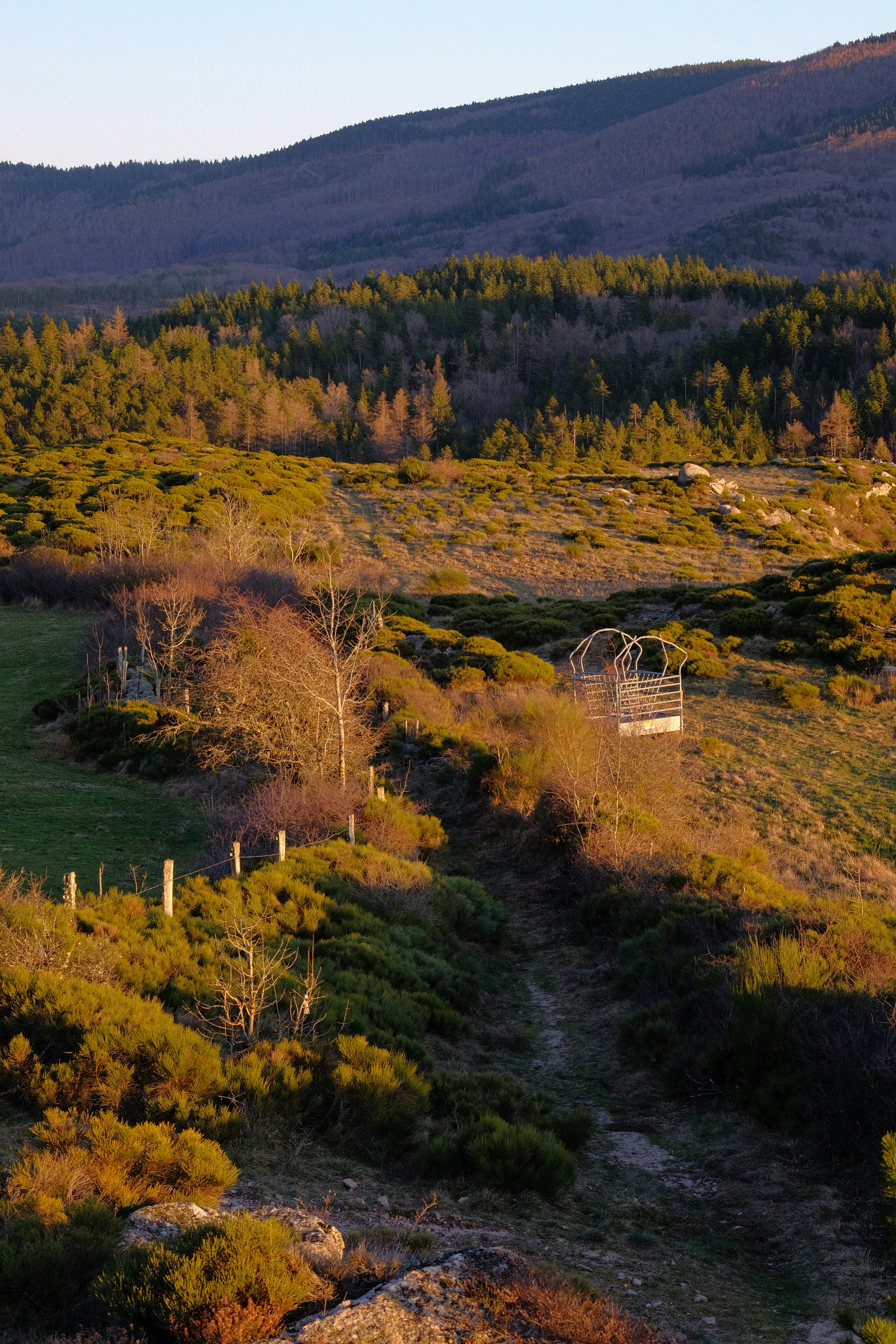 Golden Hour Overlook: Trail to a Weathered Shelter