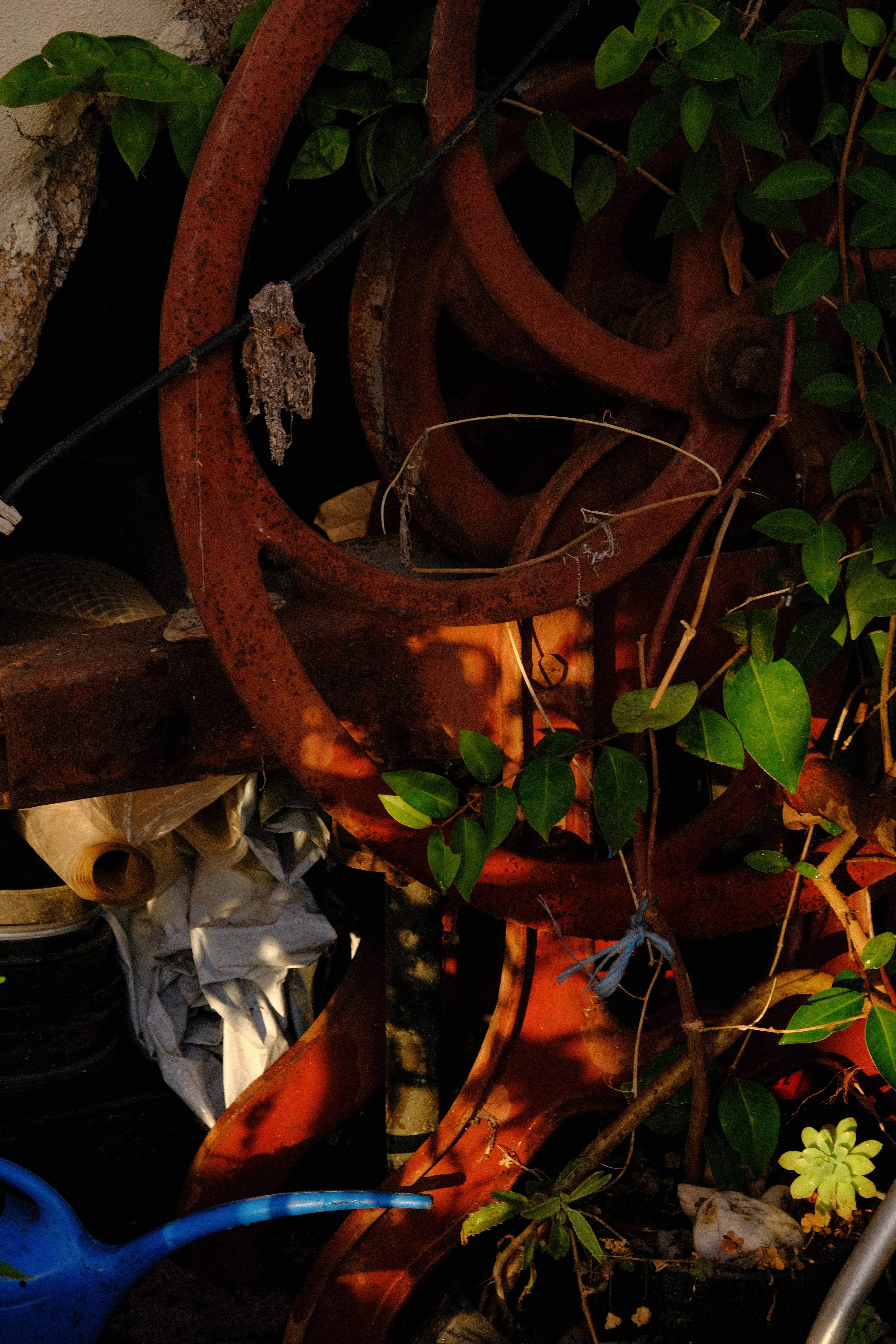 Rust and Vines: A Forgotten Mechanical Heart in the Garden