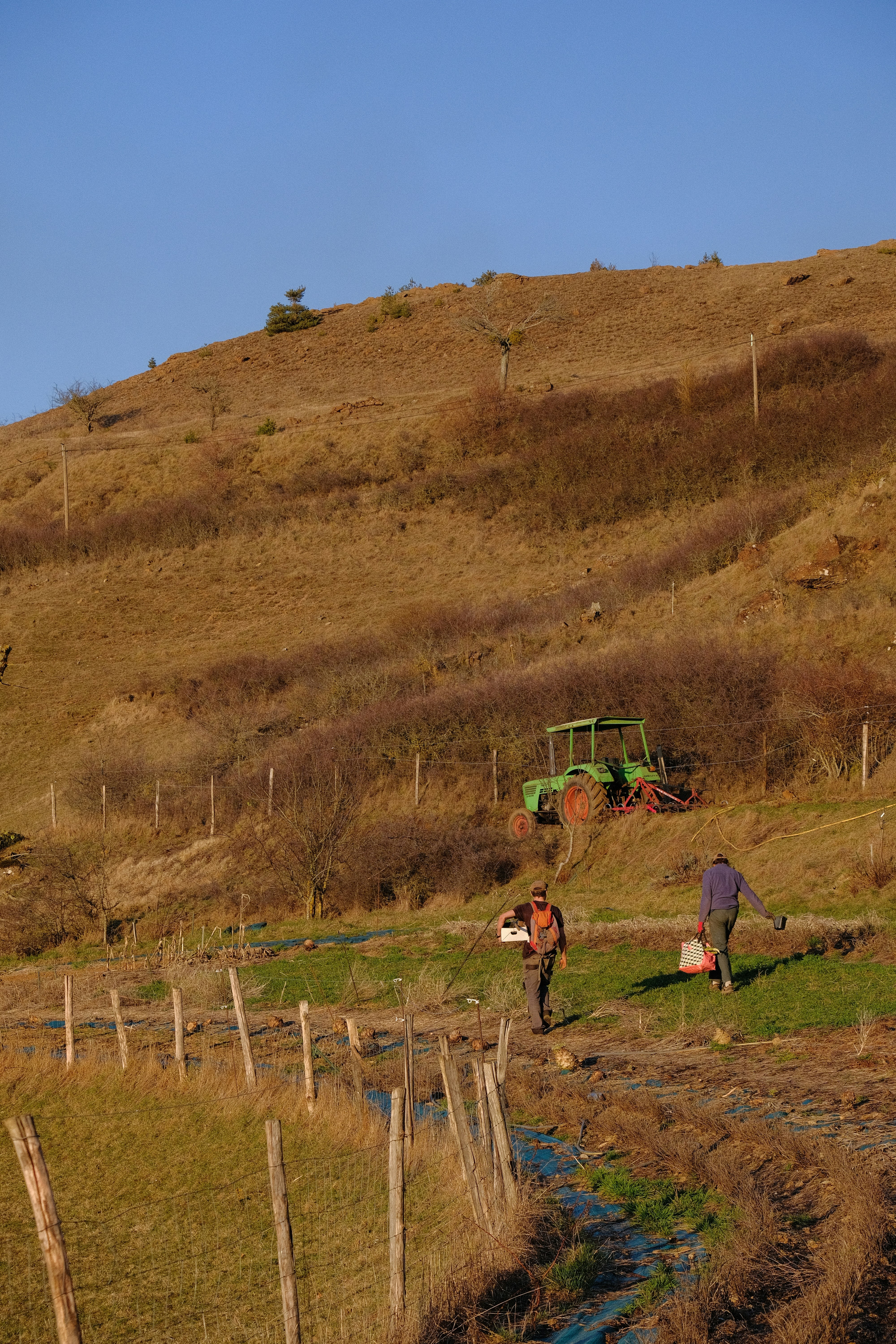 Two Field Workers and a Green Tractor in a Golden Hillside