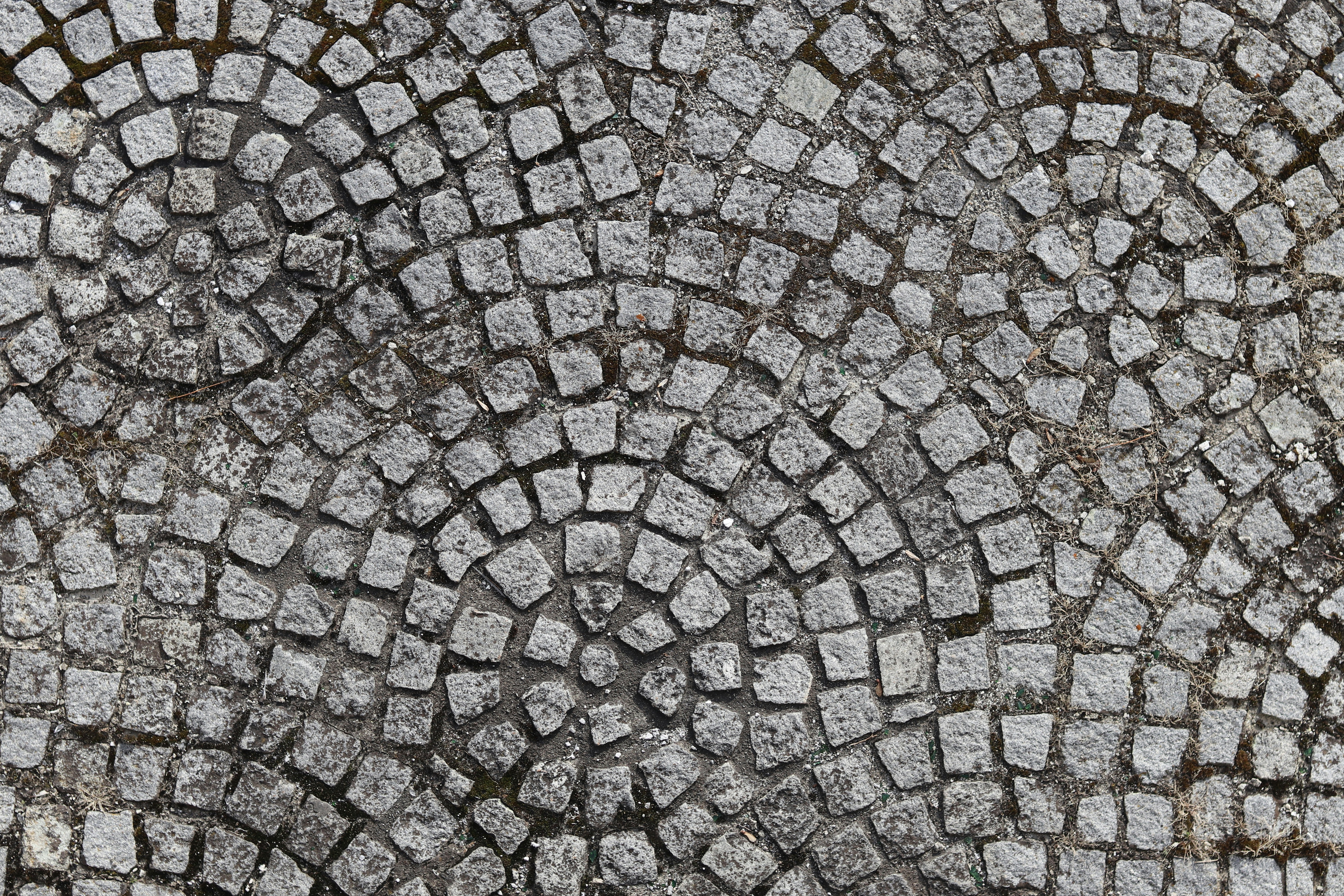 Circular Cobble Mosaic: A Ground-Level Scan of Stone Paving