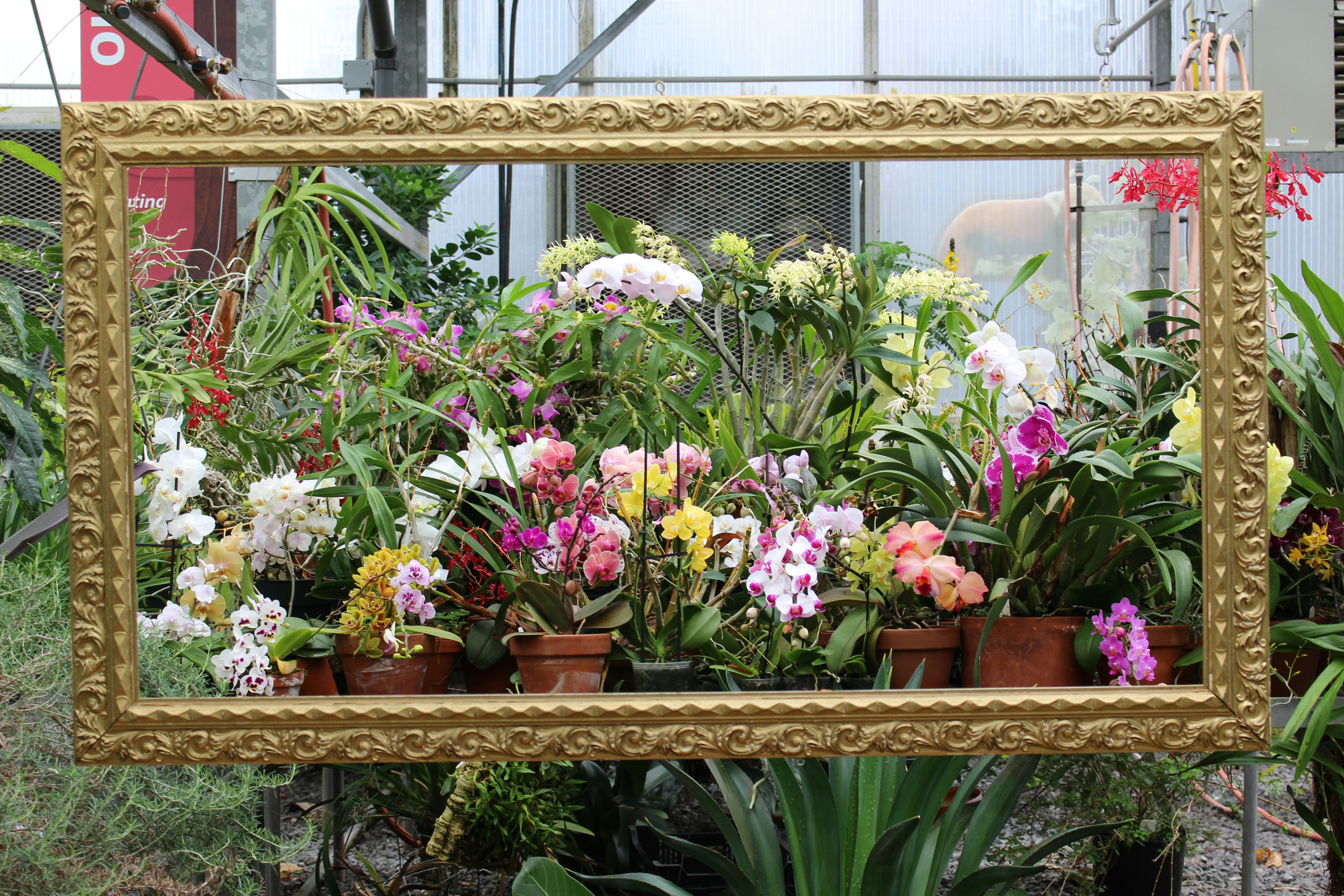 Ornate Frame Framing a Blooming Garden