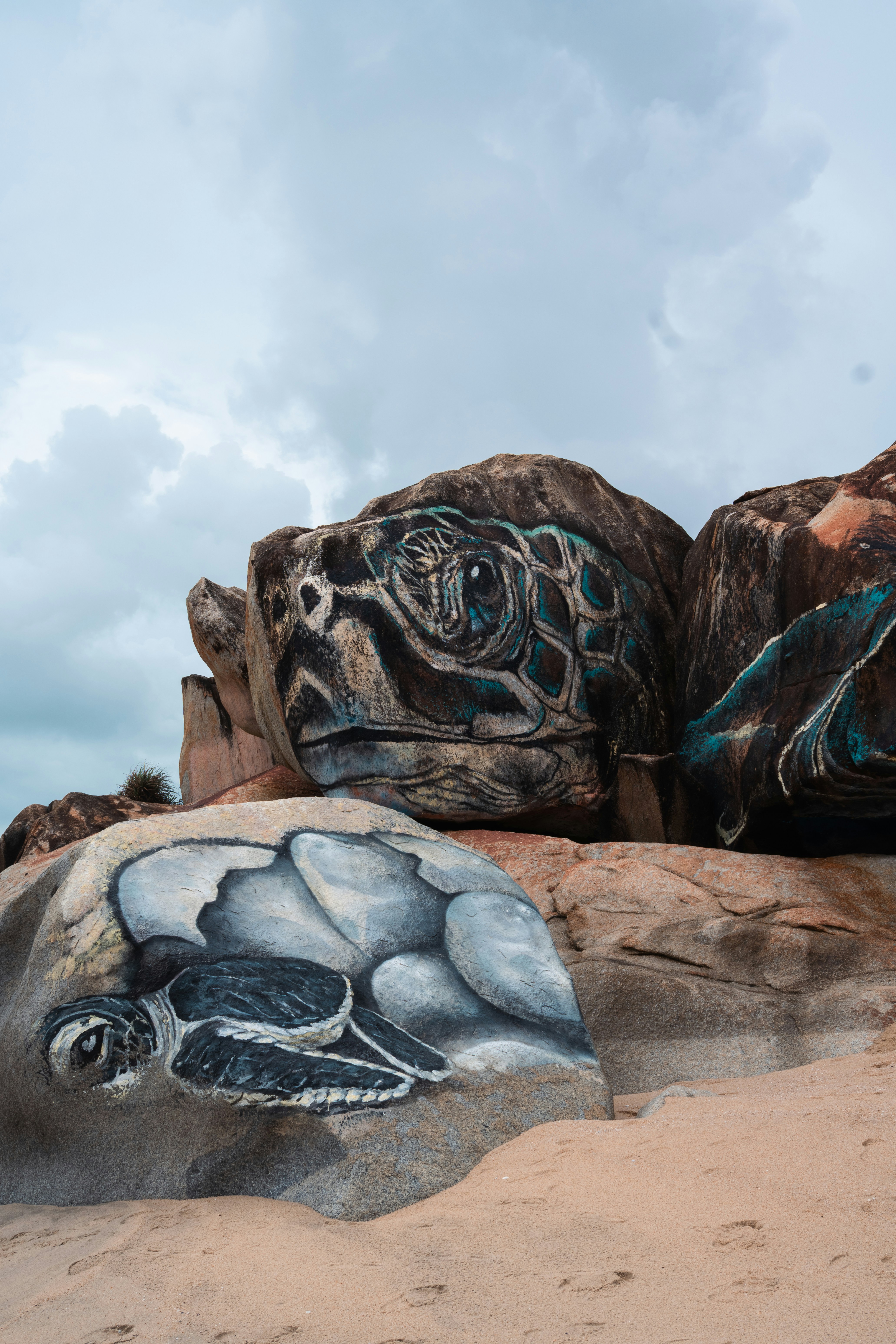 Painted Tides: A Turtle's Eye on the Weathered Coast