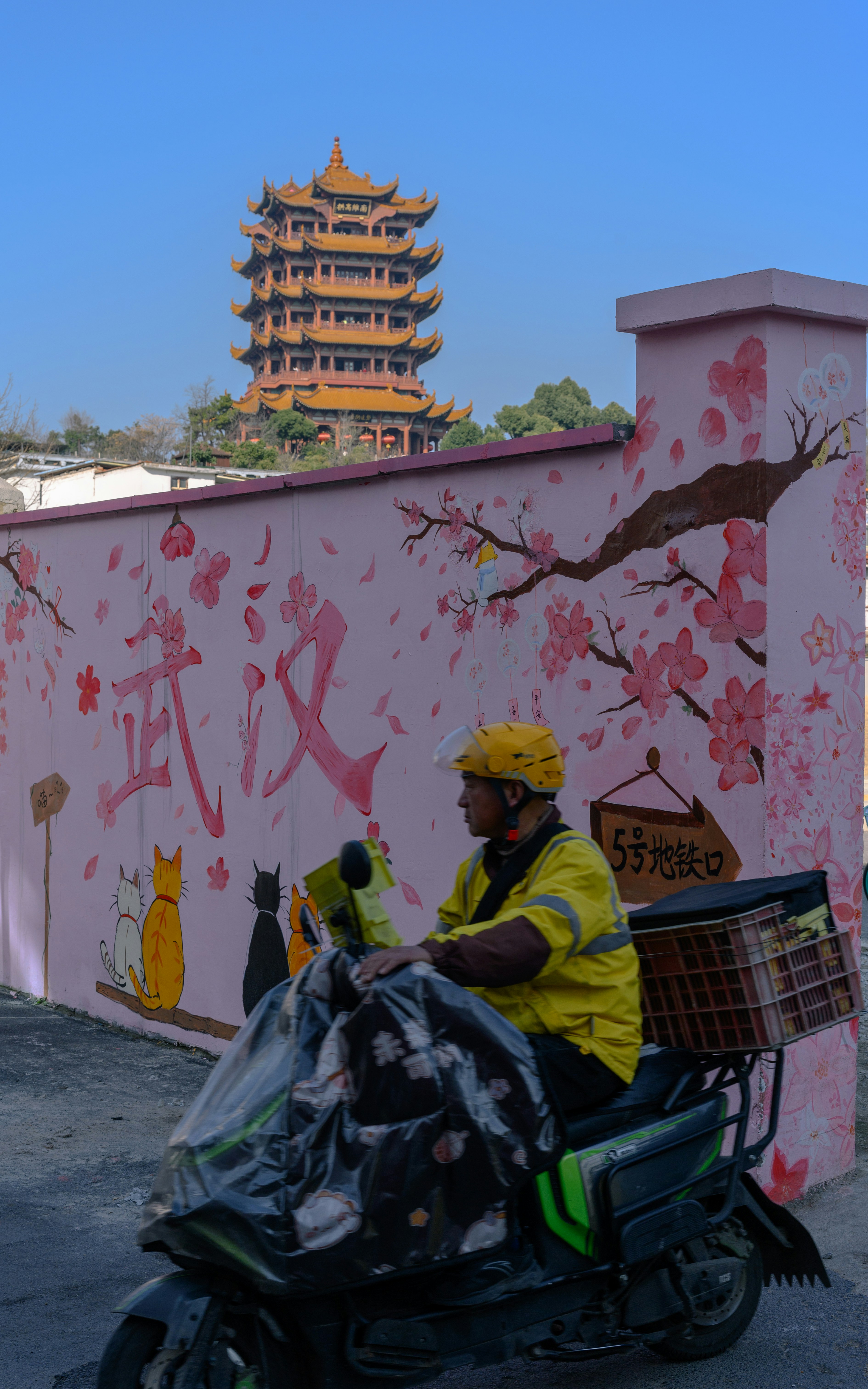 Pink Wall Saga: A City Ride Under a Pagoda Sky