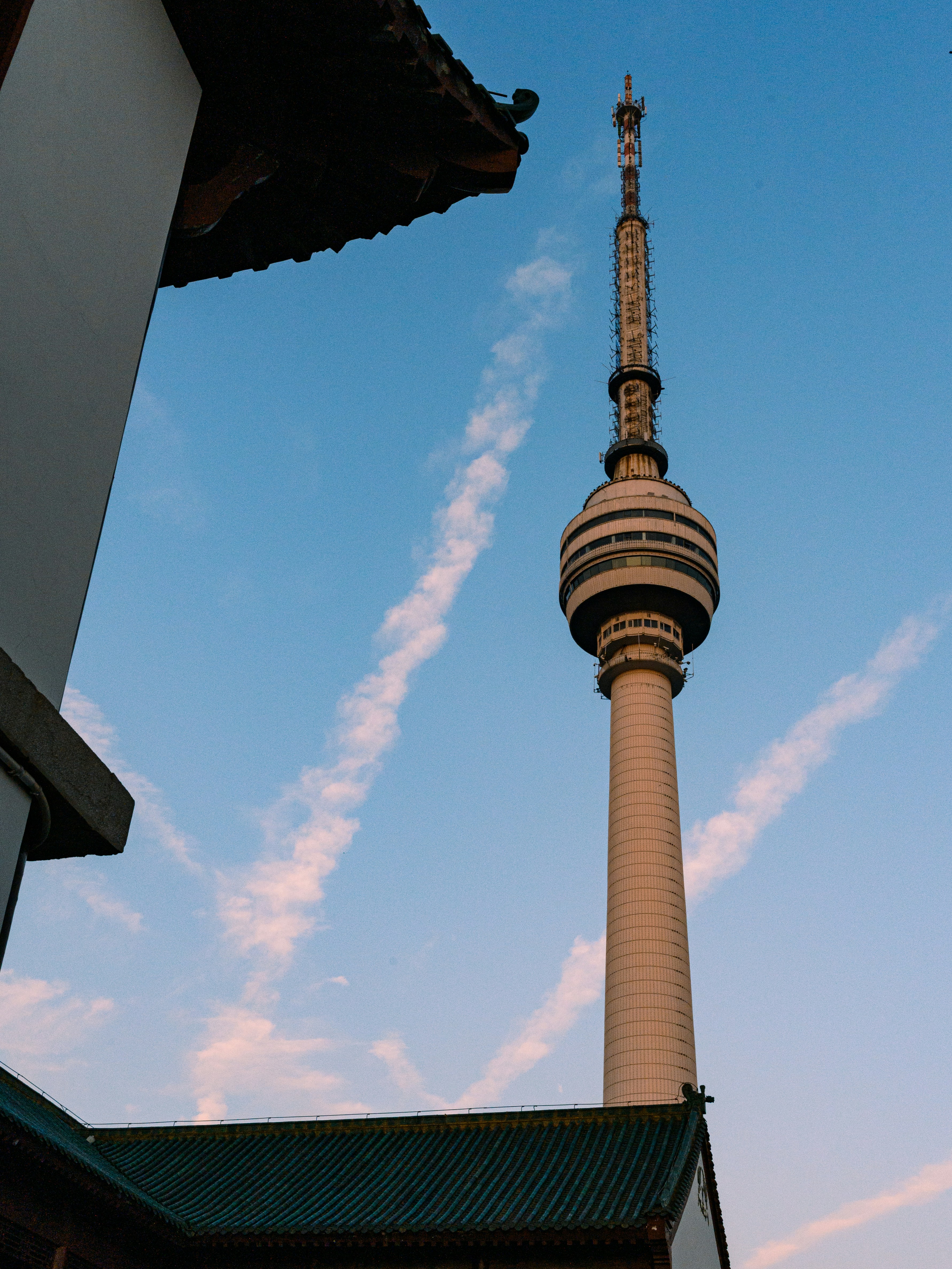 City Skyward: The Tower Reaches Through Temple Pines