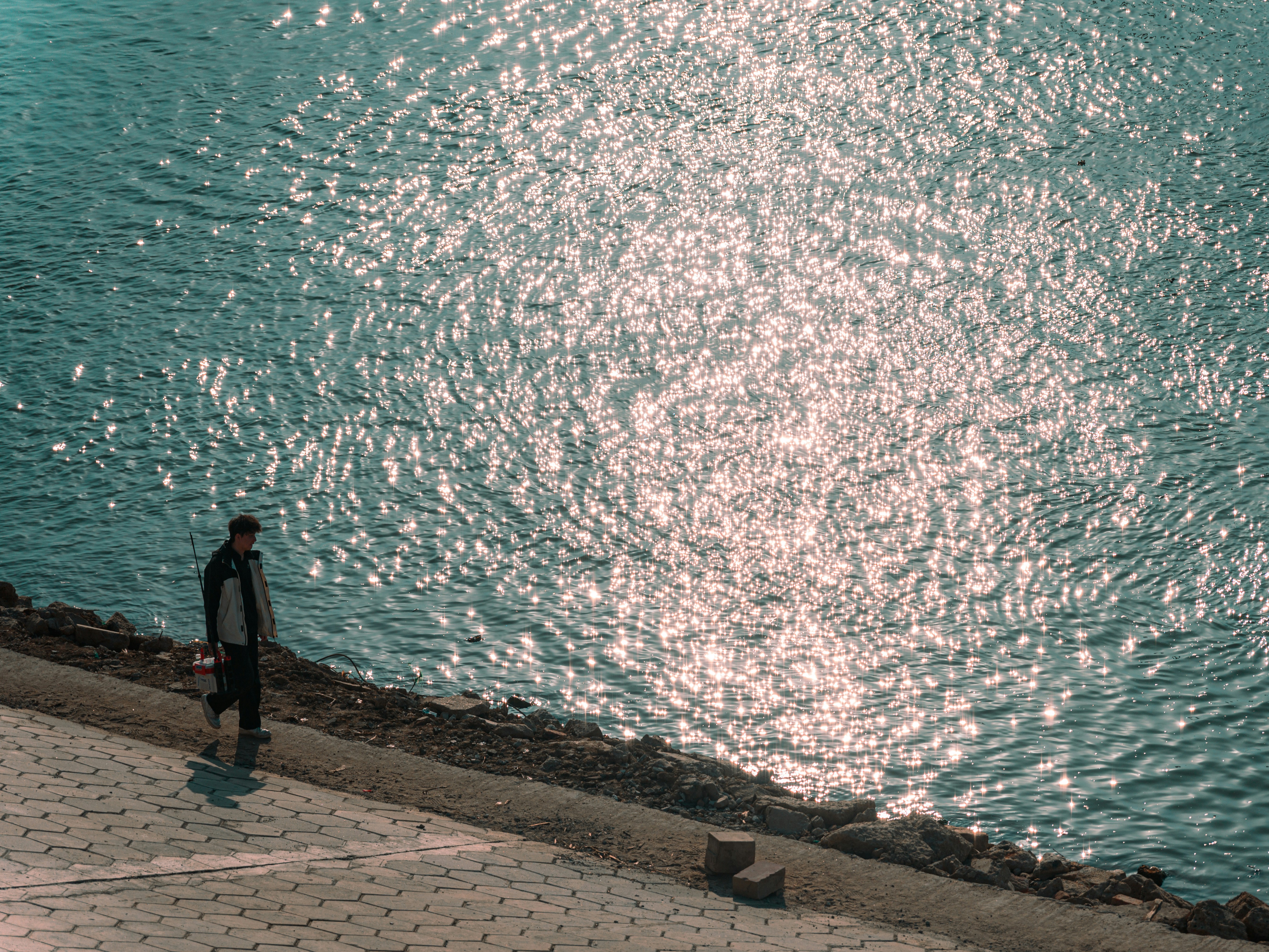 Stroll Along a Glimmering Seashore