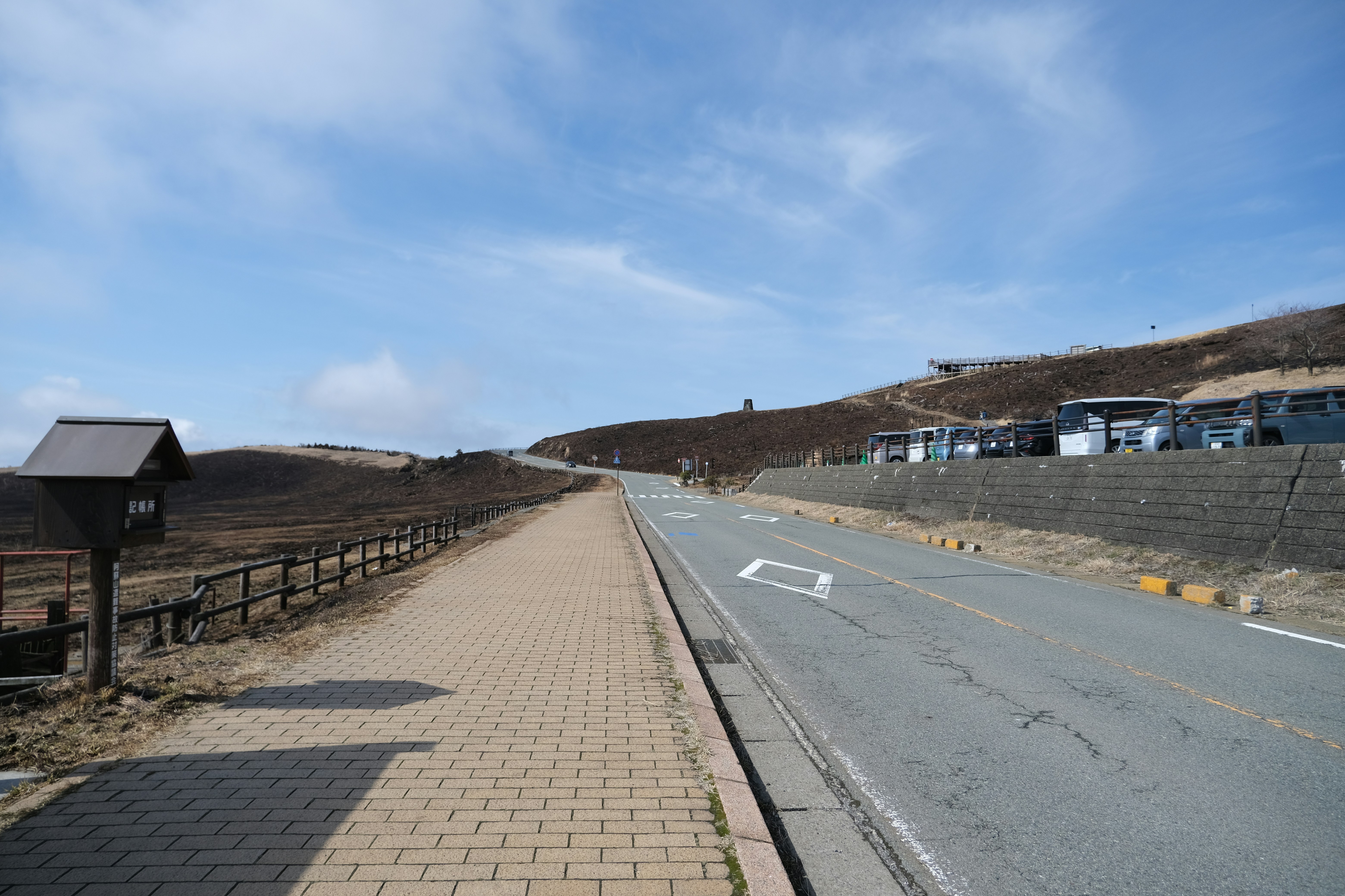 Sunlit Promenade to the Distant Horizon