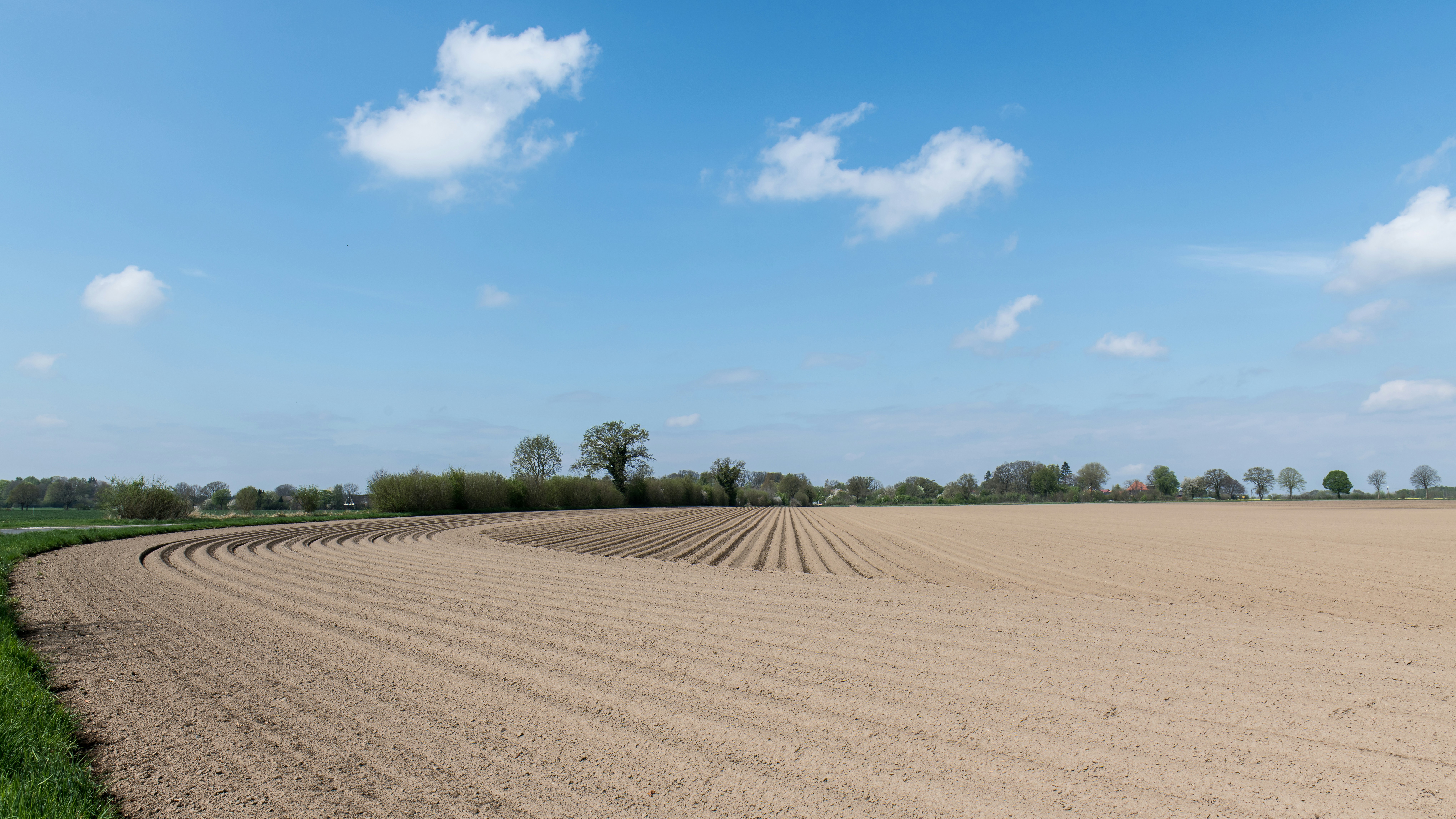 Seeded Horizons: Parallel Furrows under a Calm Sky