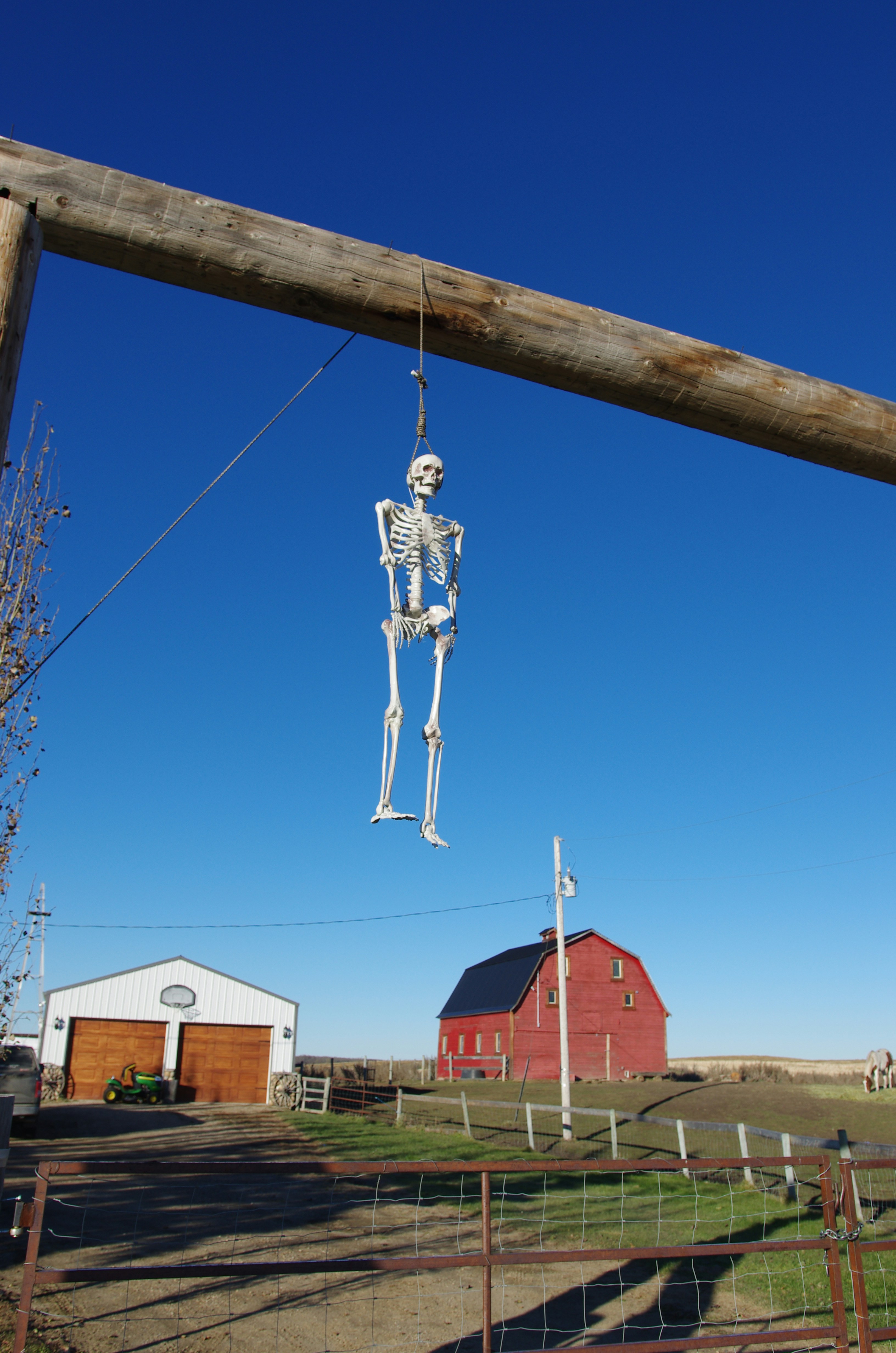 Suspended Skeleton Against a Rural Sky