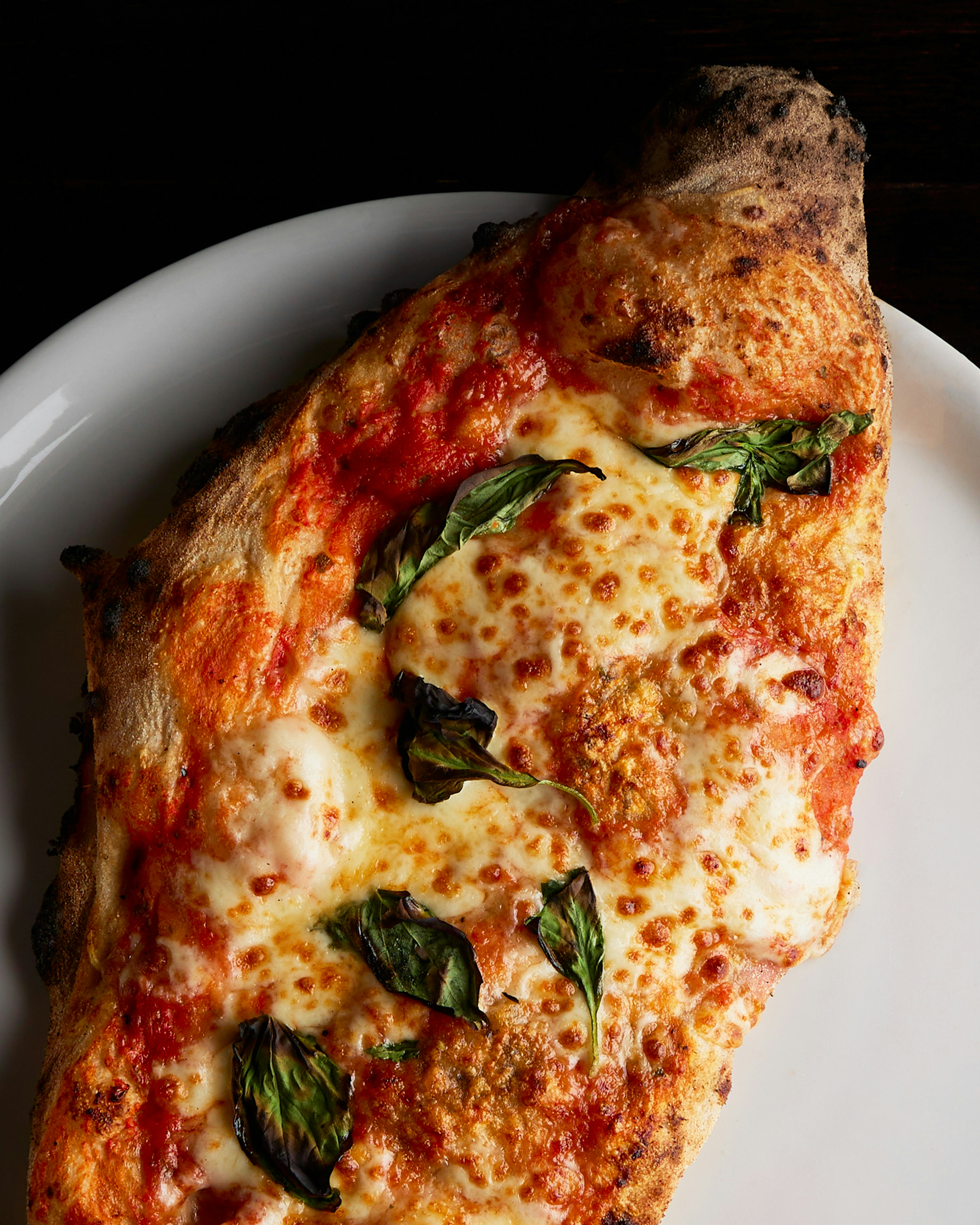 Charred Edge, Melty Herb Pizza Slice