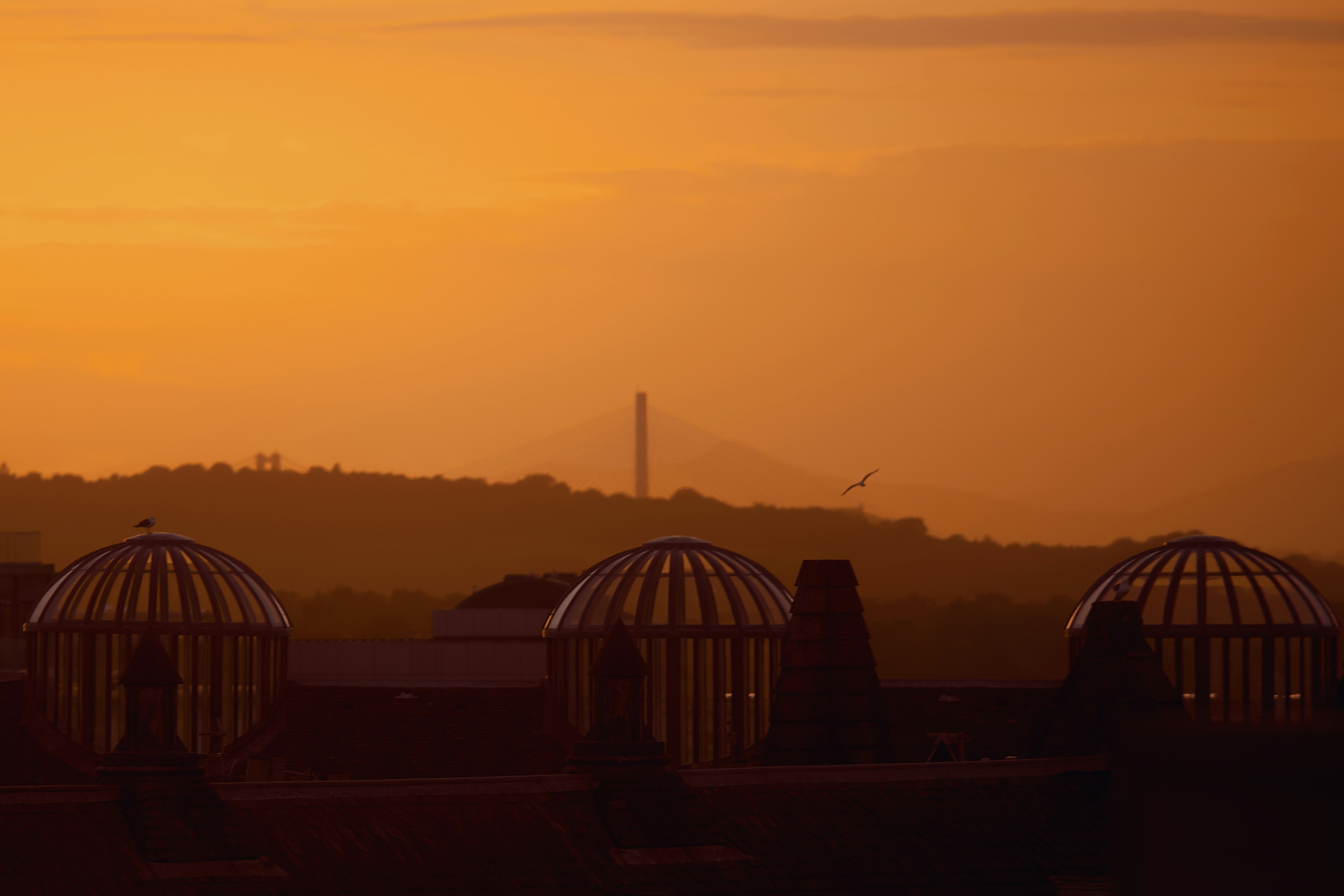 Dusk Over Domed Rooftops: A Quiet City Silhouette