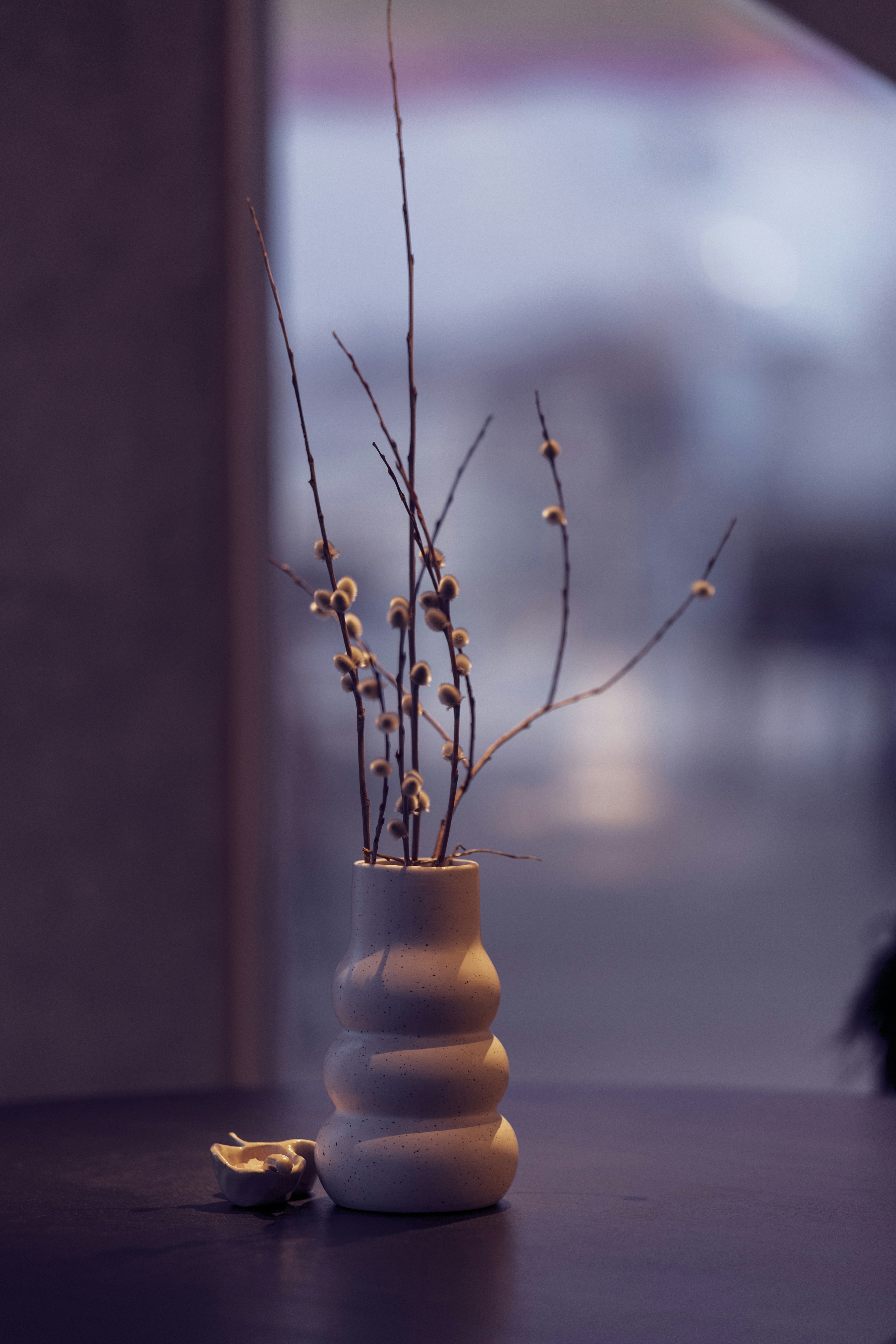 Minimal Stillness: A Ceramic Vase with Tender Branches on a Quiet Table