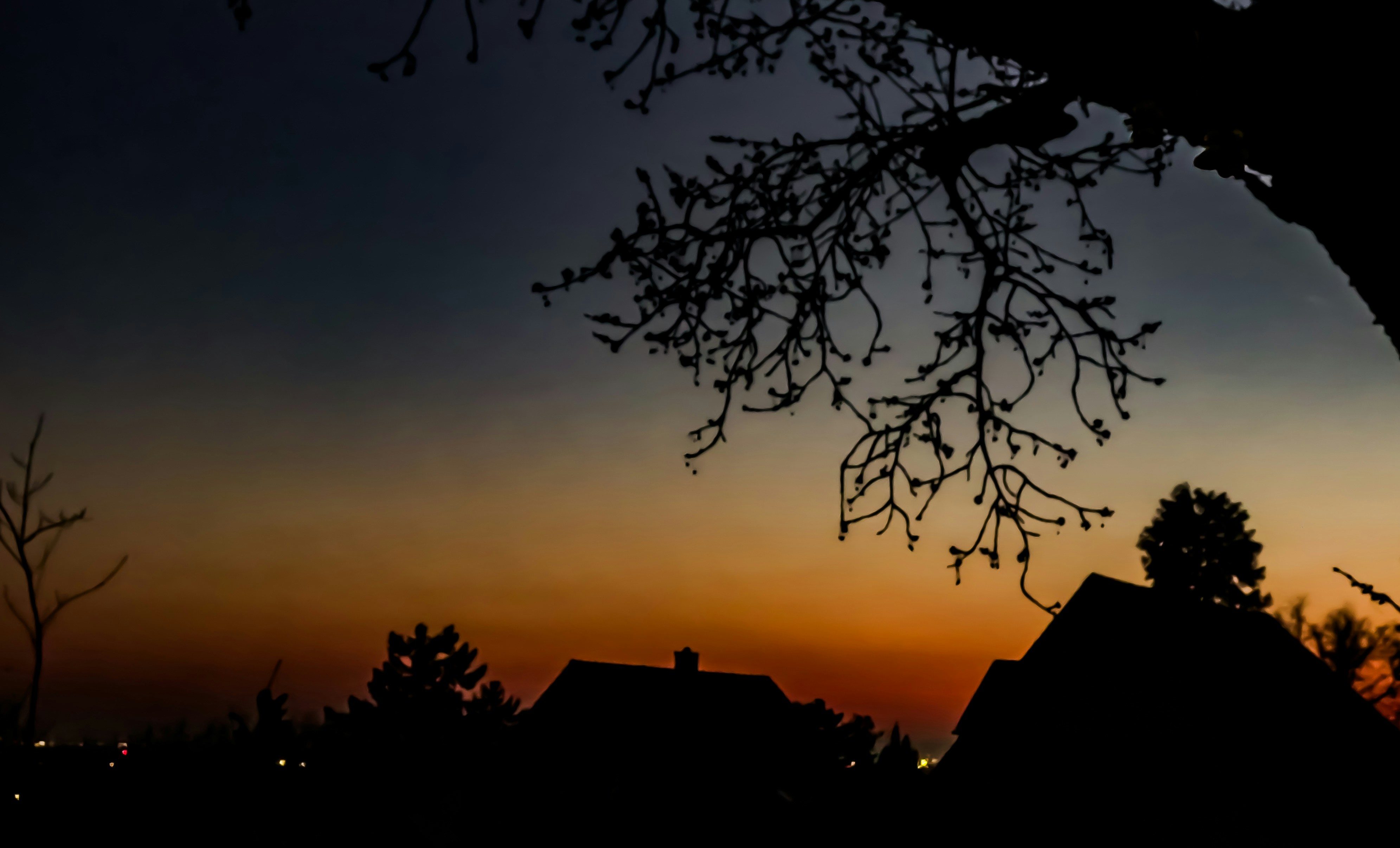Silhouette at Dusk: Rooftops and Bare Branches Against a Gradient Sky