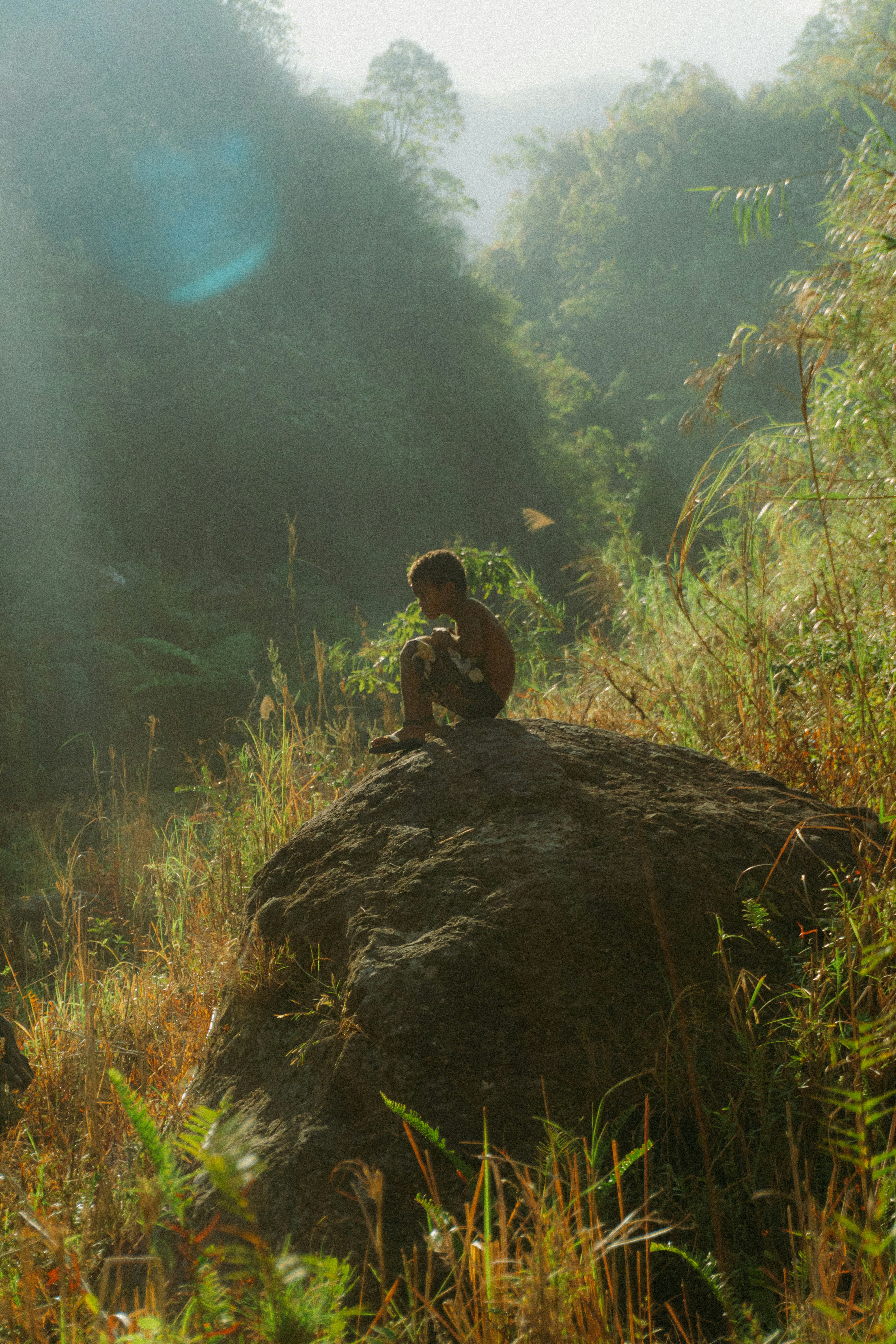 Child on a sunlit rock: quiet moment in the hillside