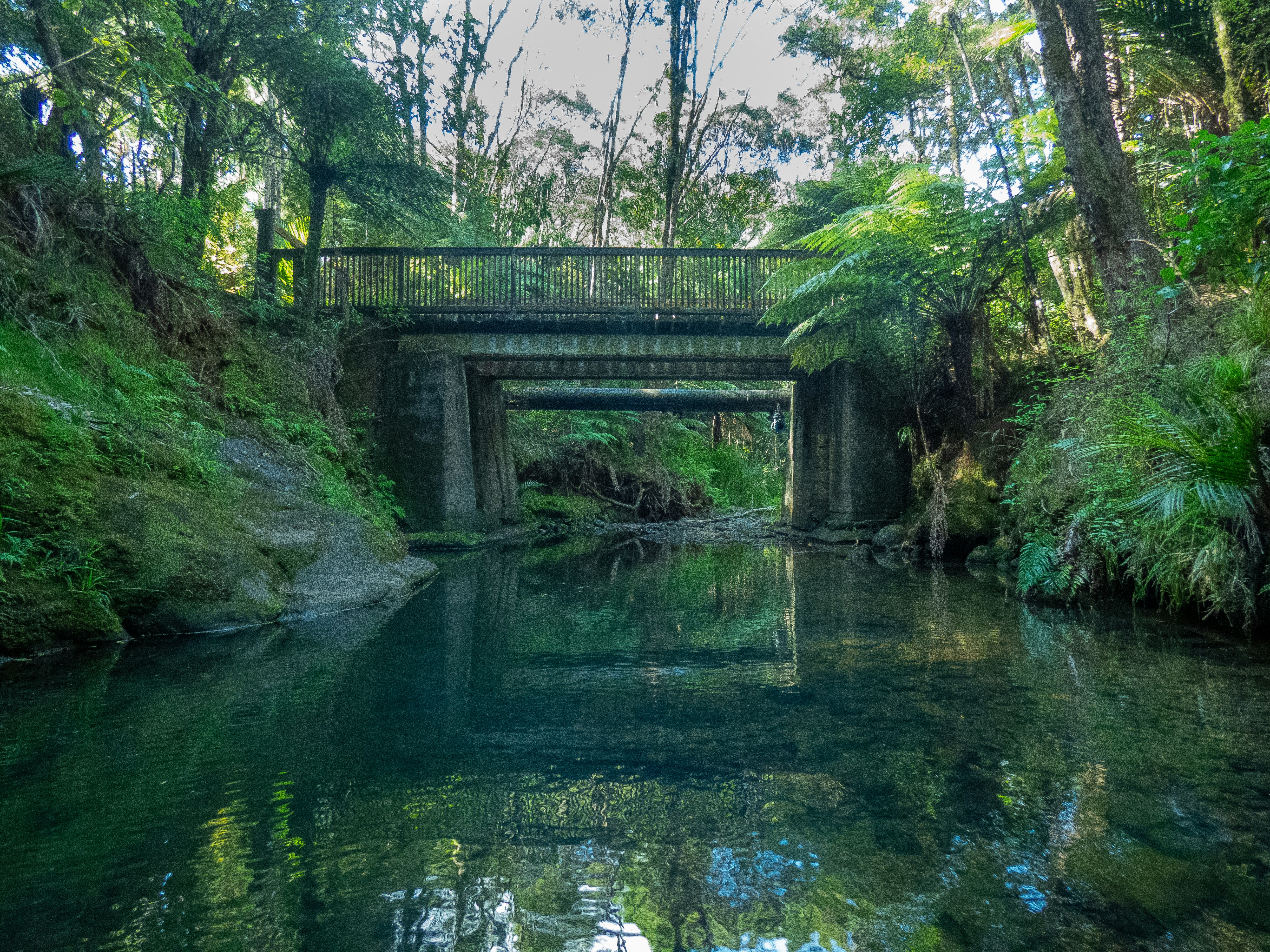 Underpass of Quiet Water: a shaded river under a mossy bridge