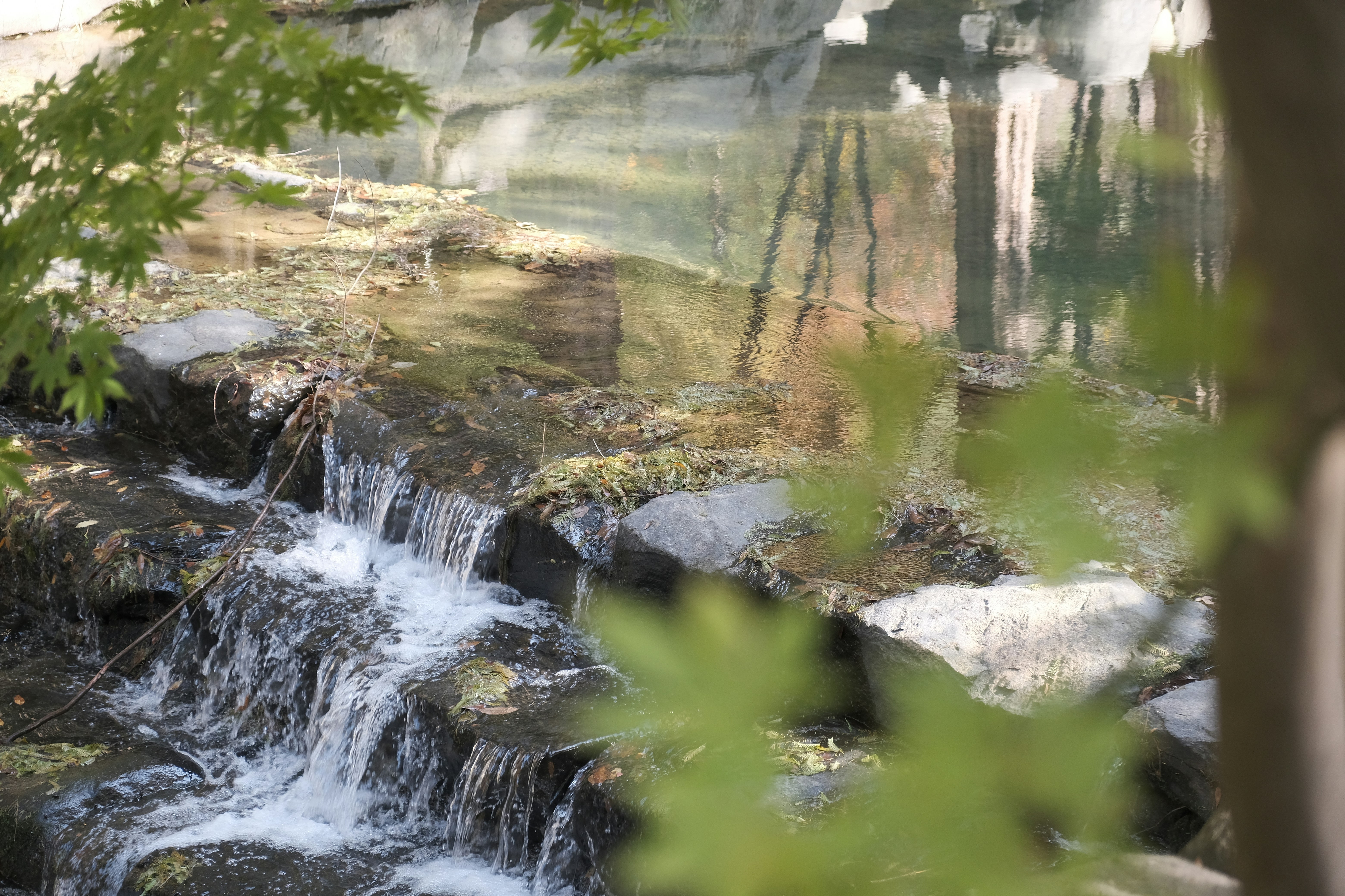 Hidden Cascade Behind Framing Leaves