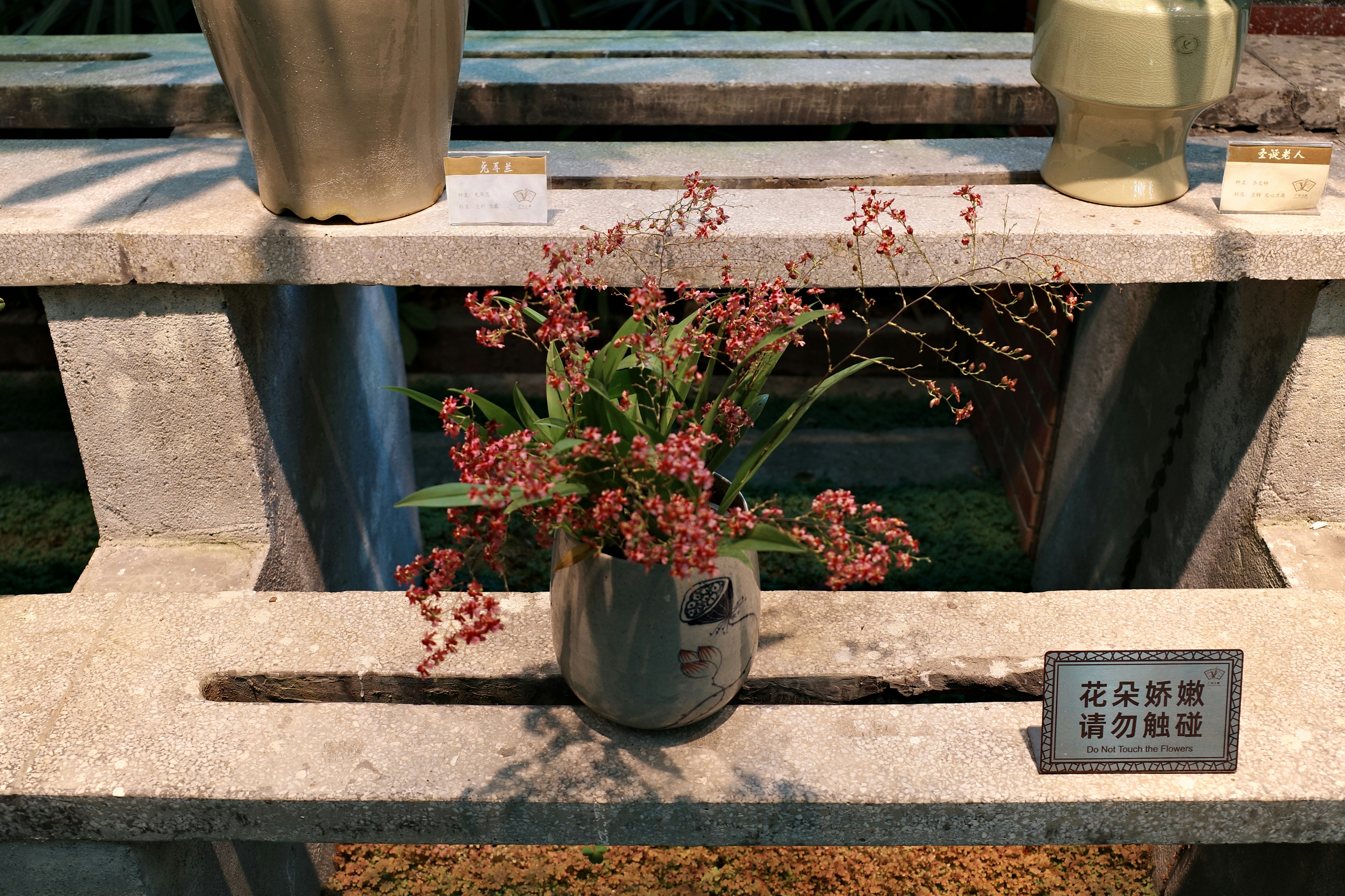 Branching Bloom in a Stone Frame