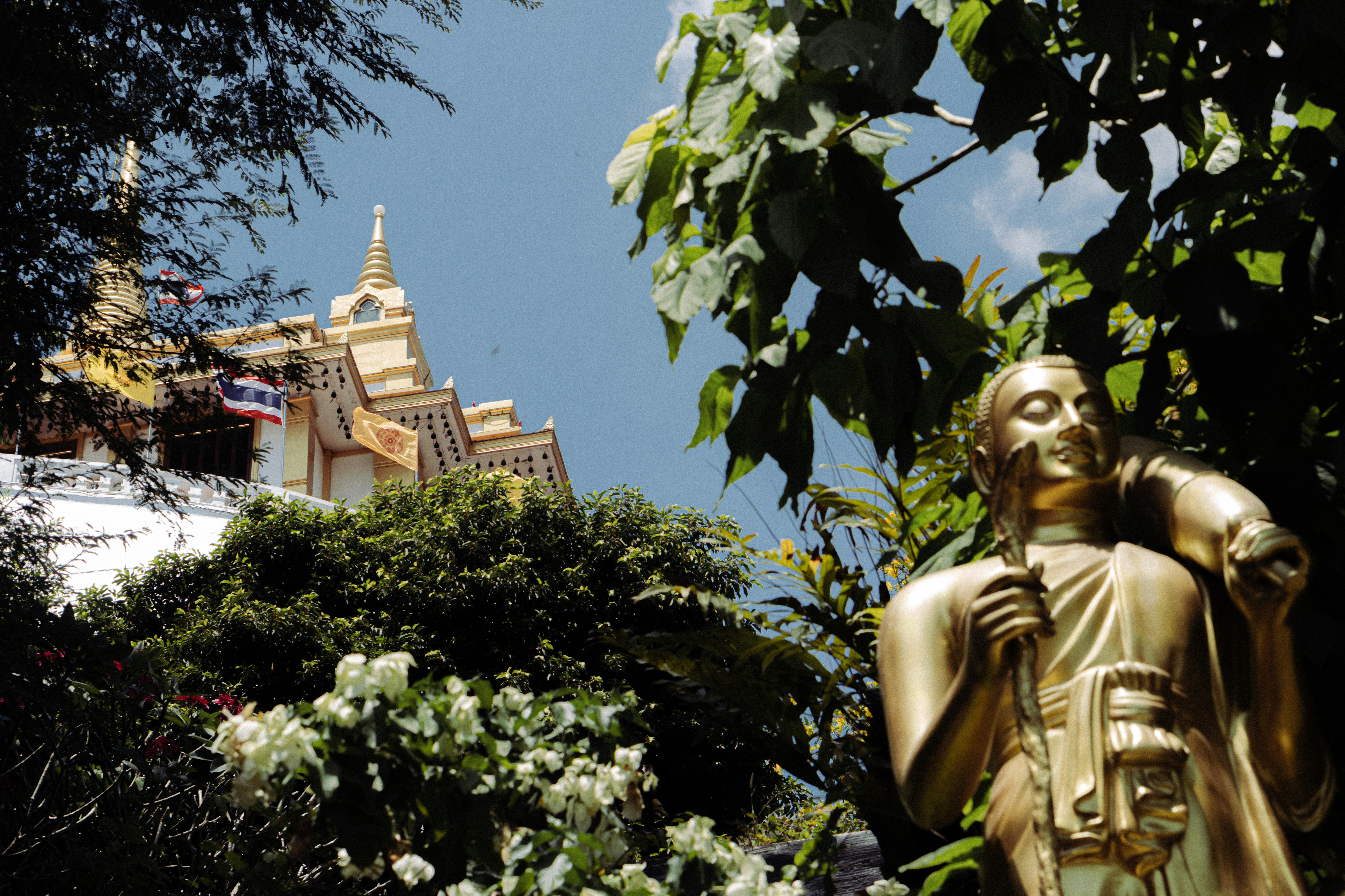 Golden Buddha in a Sunlit Garden: Quiet Reverence by the Pagoda