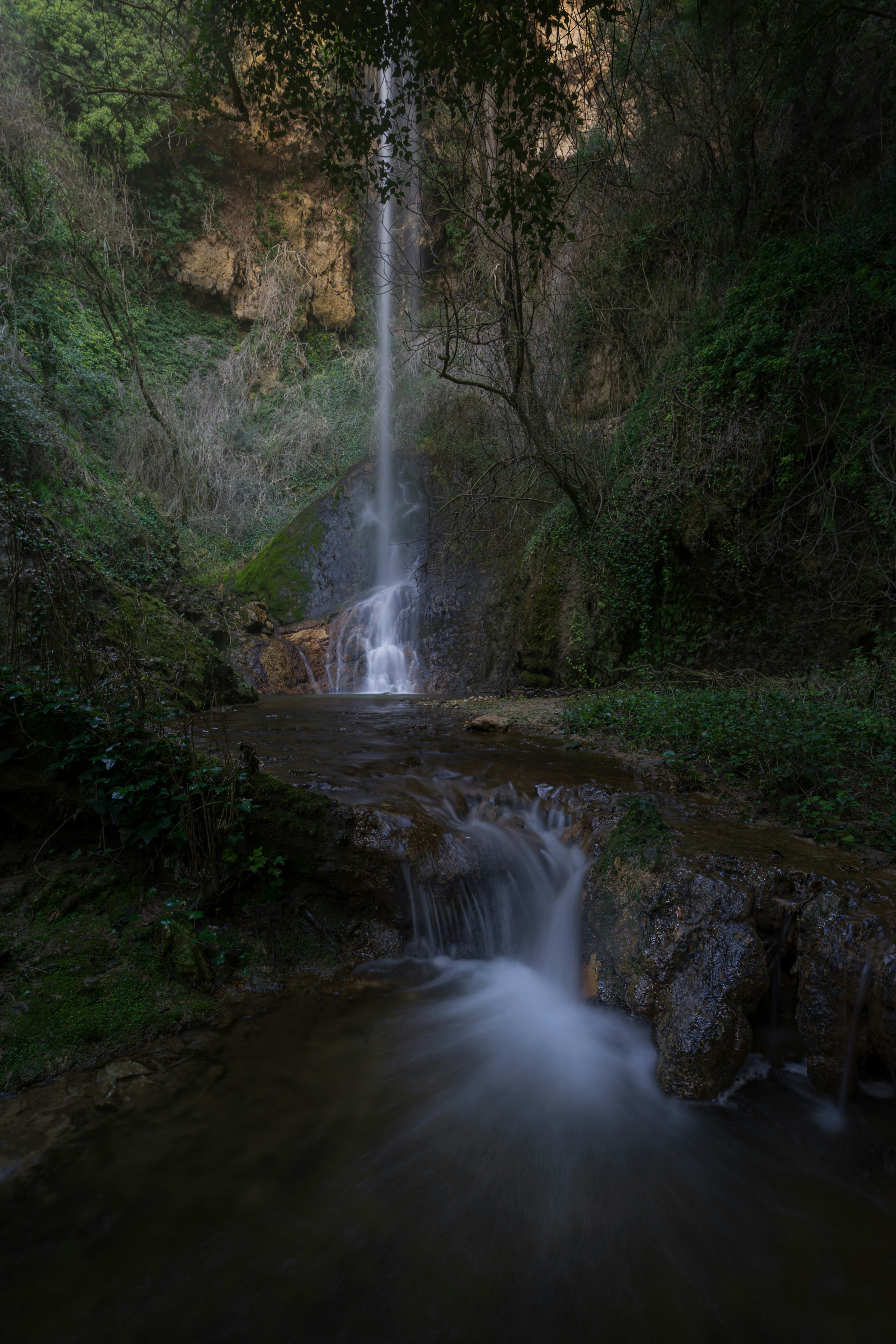 Whispering Cascade in a Shadowed Glen