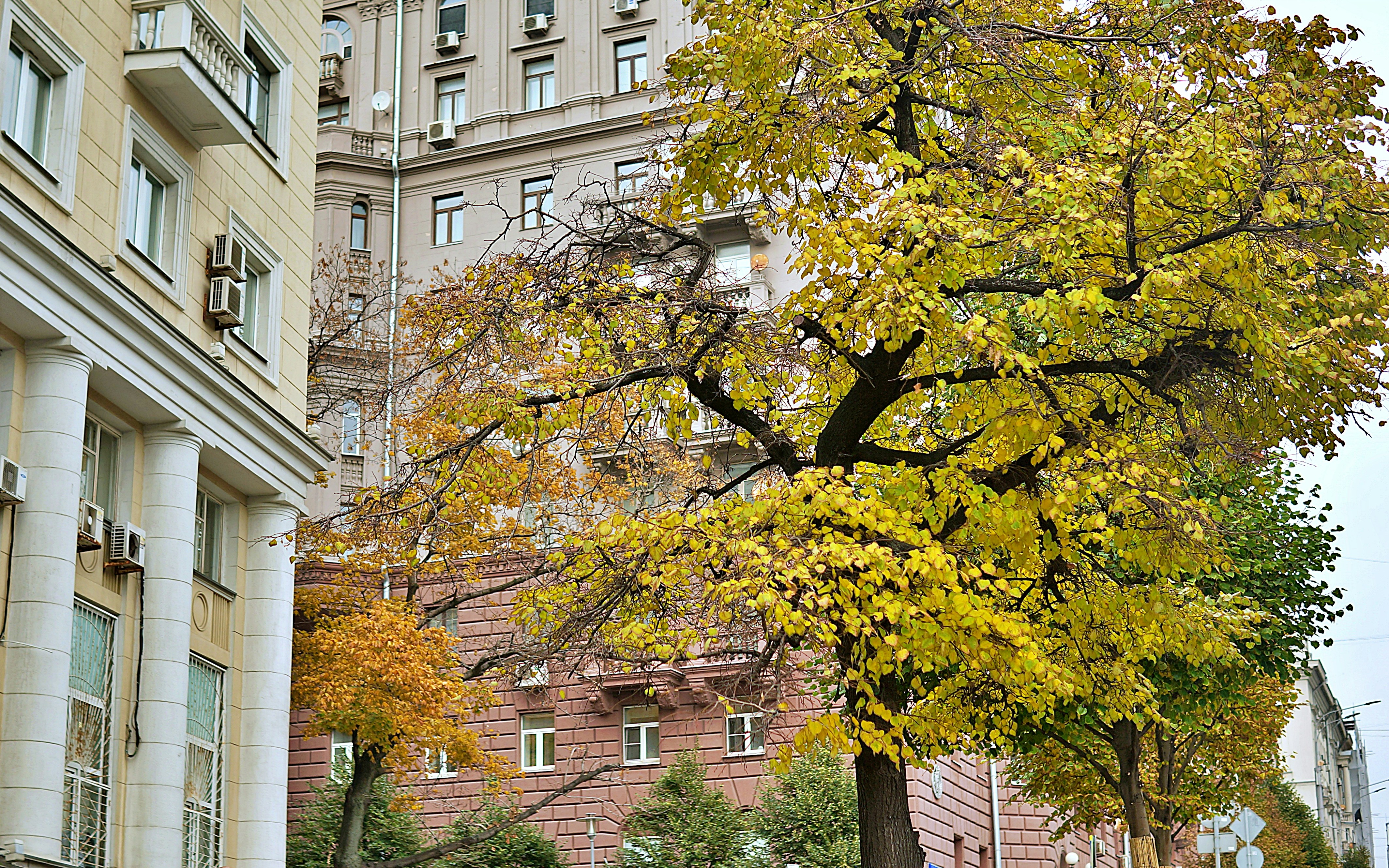 Autumn Facade: A Yellows-and-Brick City Moment