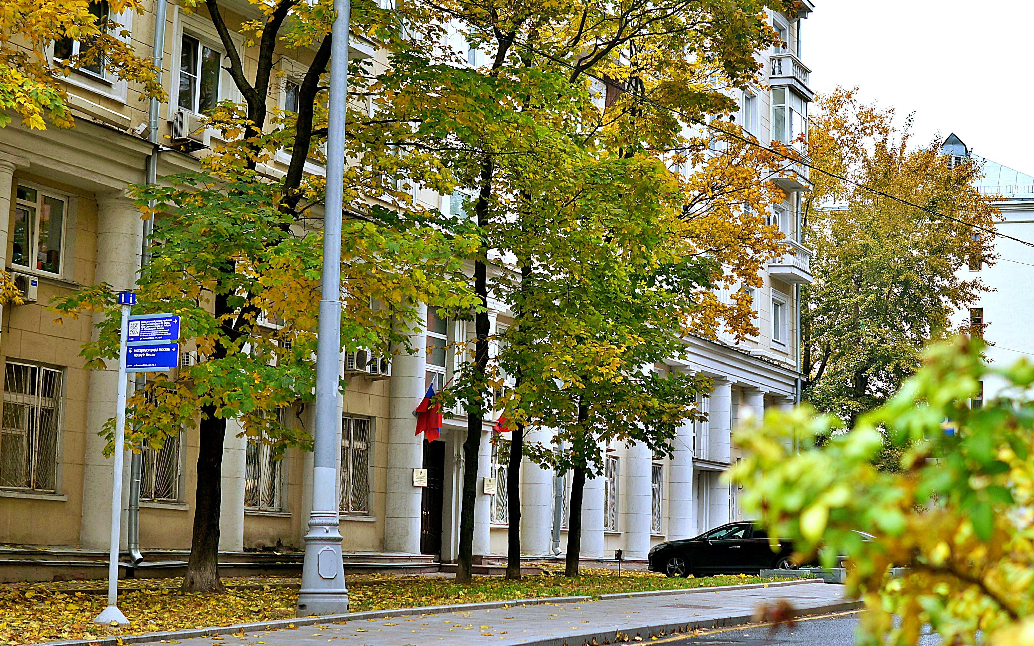 Autumn Street in a Quiet Residential Block