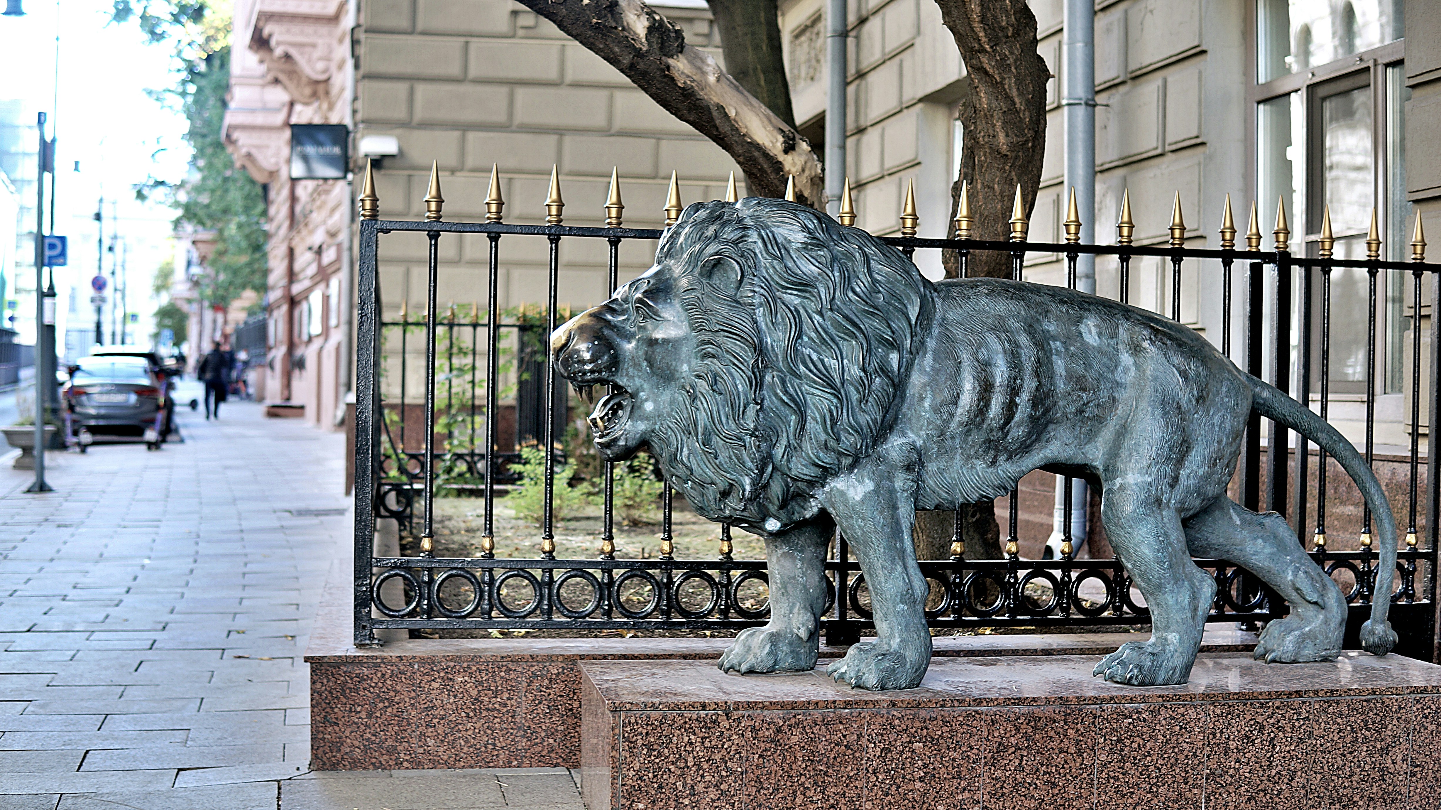 Stone Guardian: The City Lion Watches Over a Quiet Street