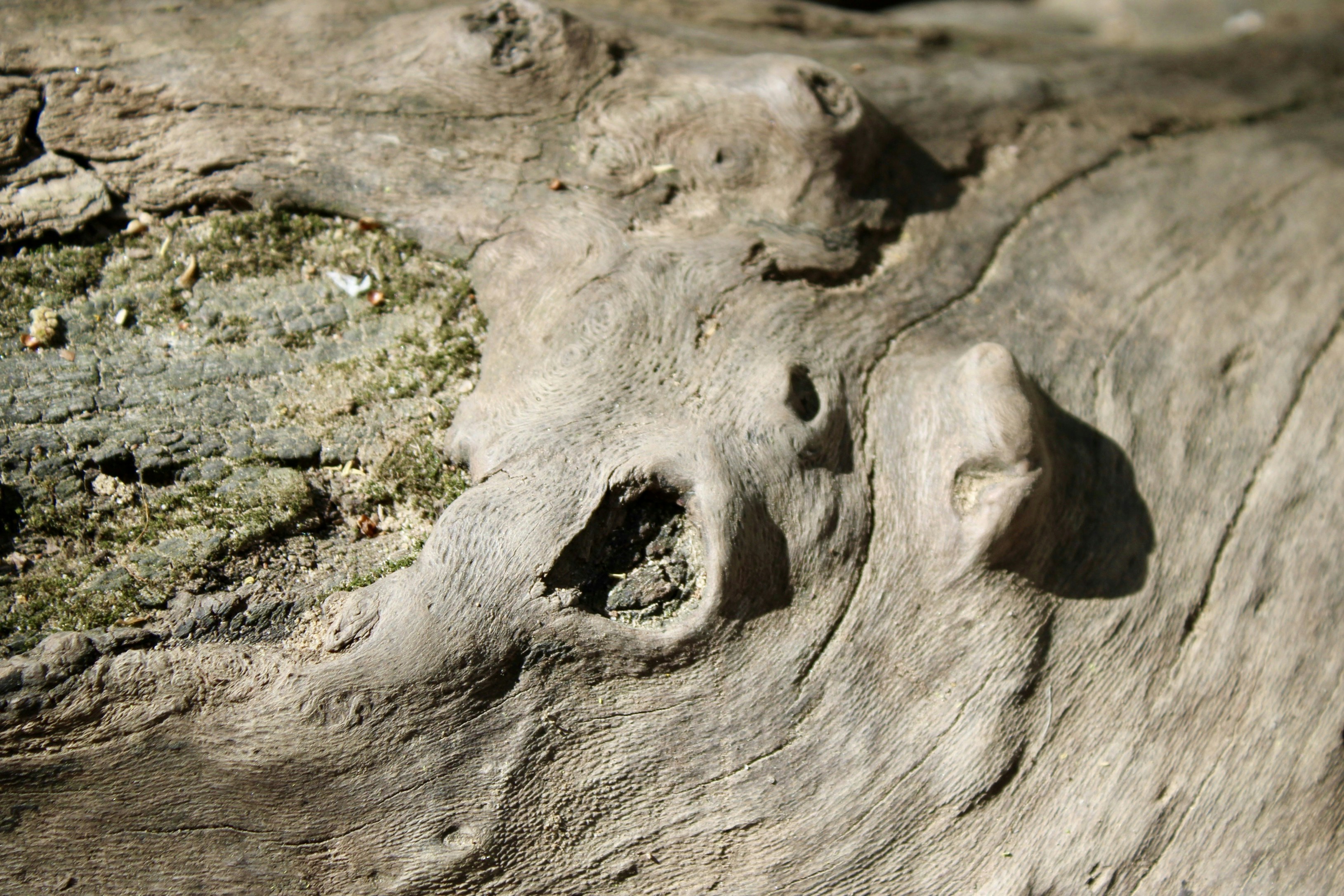 Weathered Hollow: a natural sculpture carved by wind and time