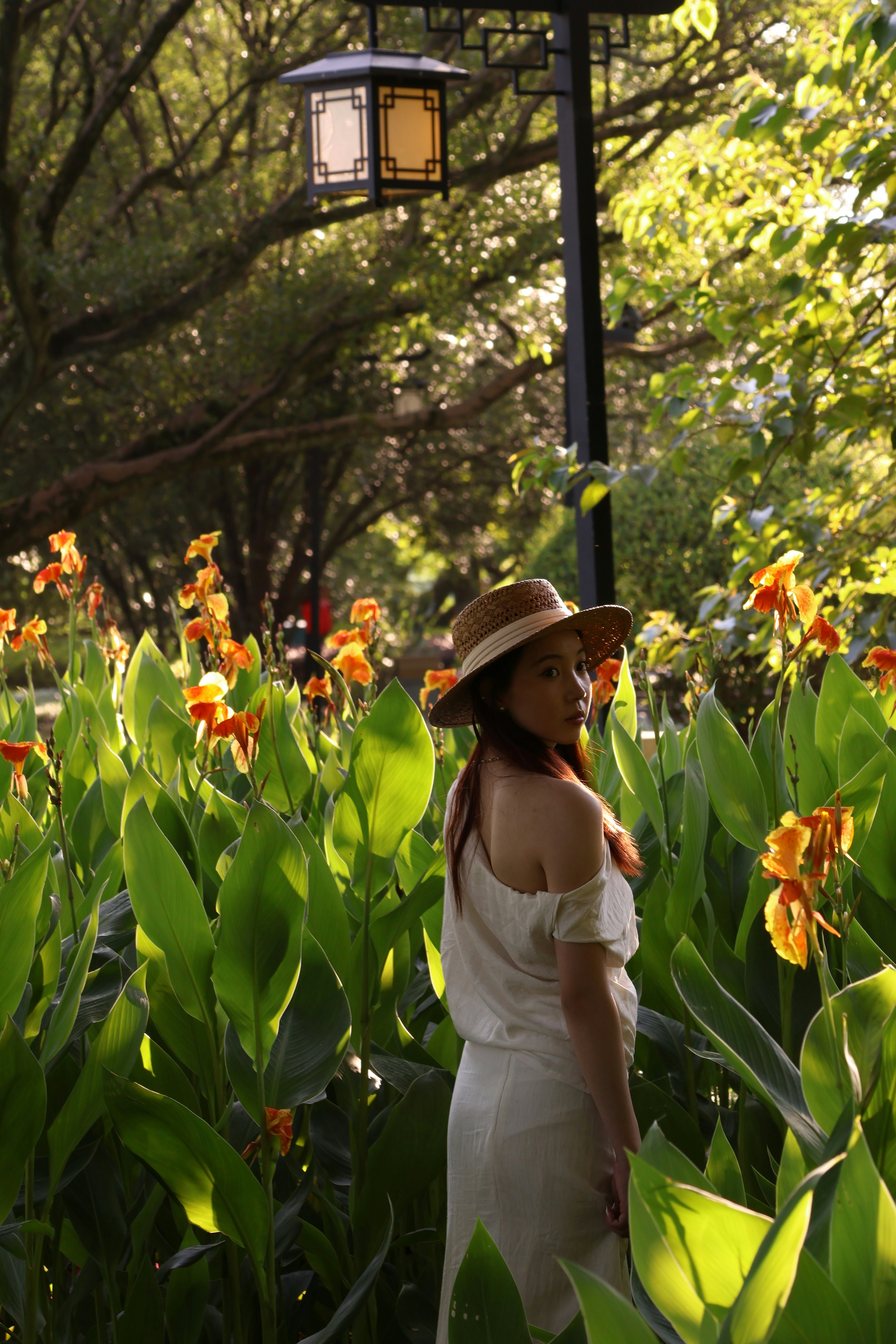 Sunlit Garden Portrait in a Sea of Orange Iris