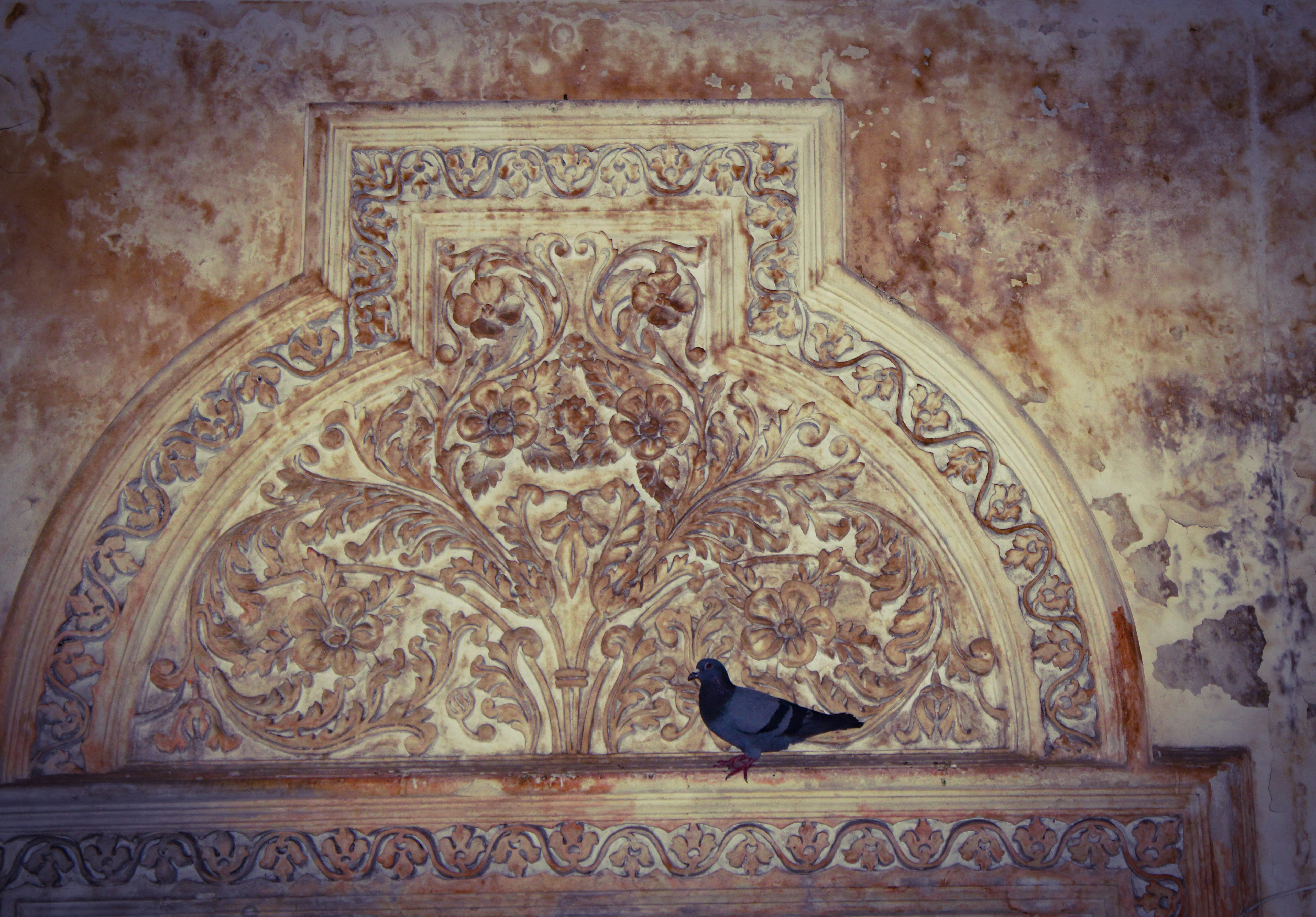 A Sole Sparrow Against Carved Stone Quiet