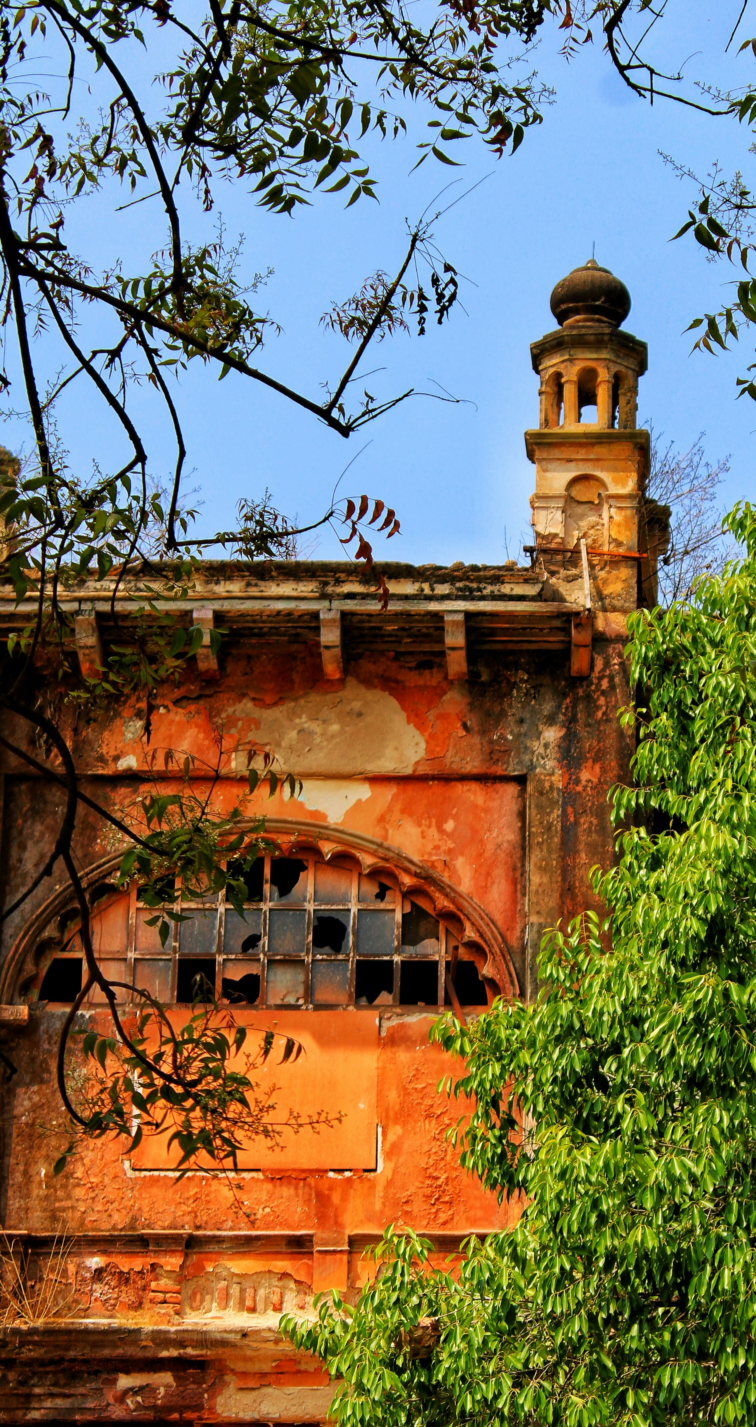 Crimson Facade under a Blue Sky with Ivy and a Weathered Turret