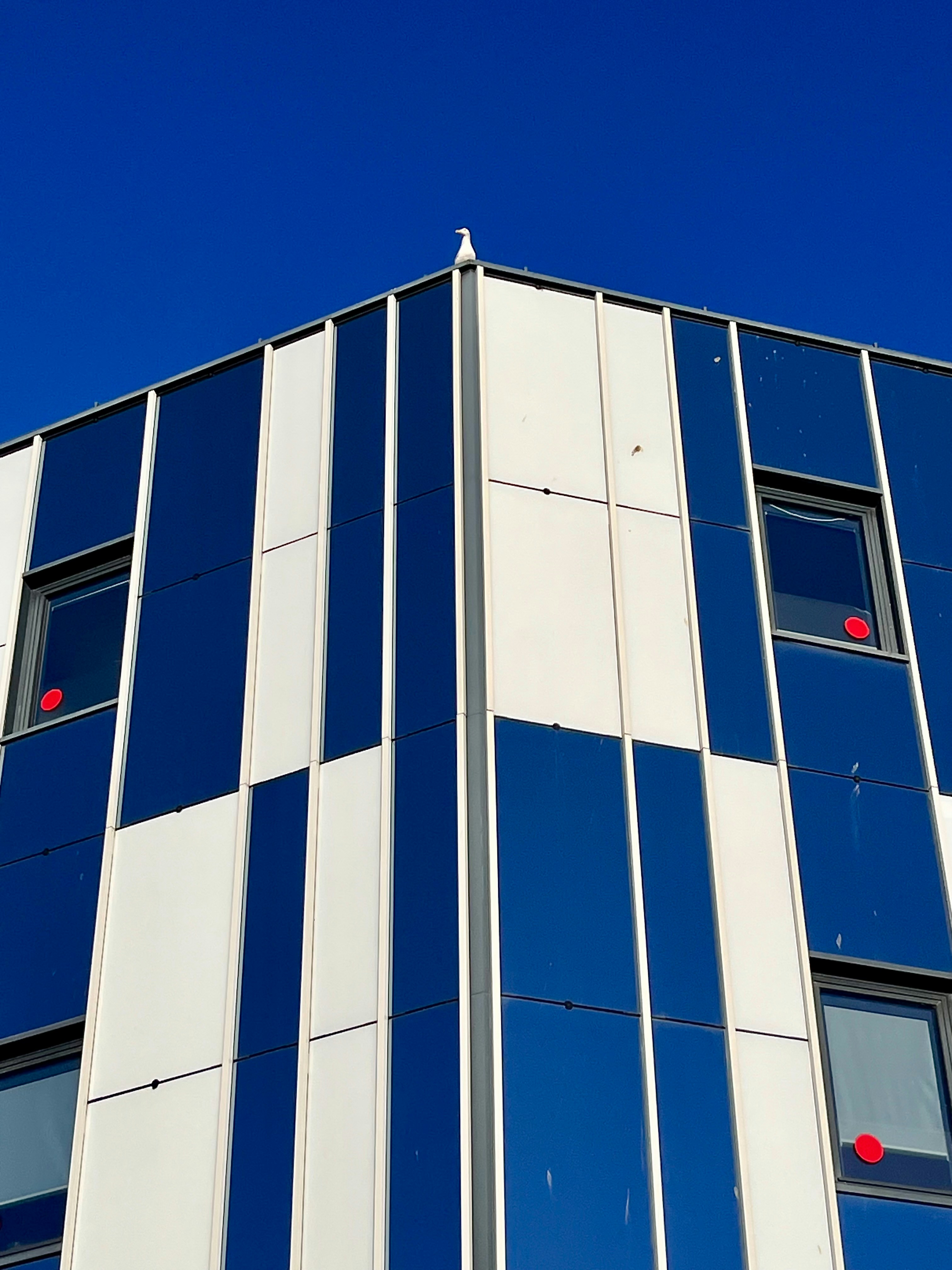 Vertical Facade: Blue Glass Panels Reach for Sky