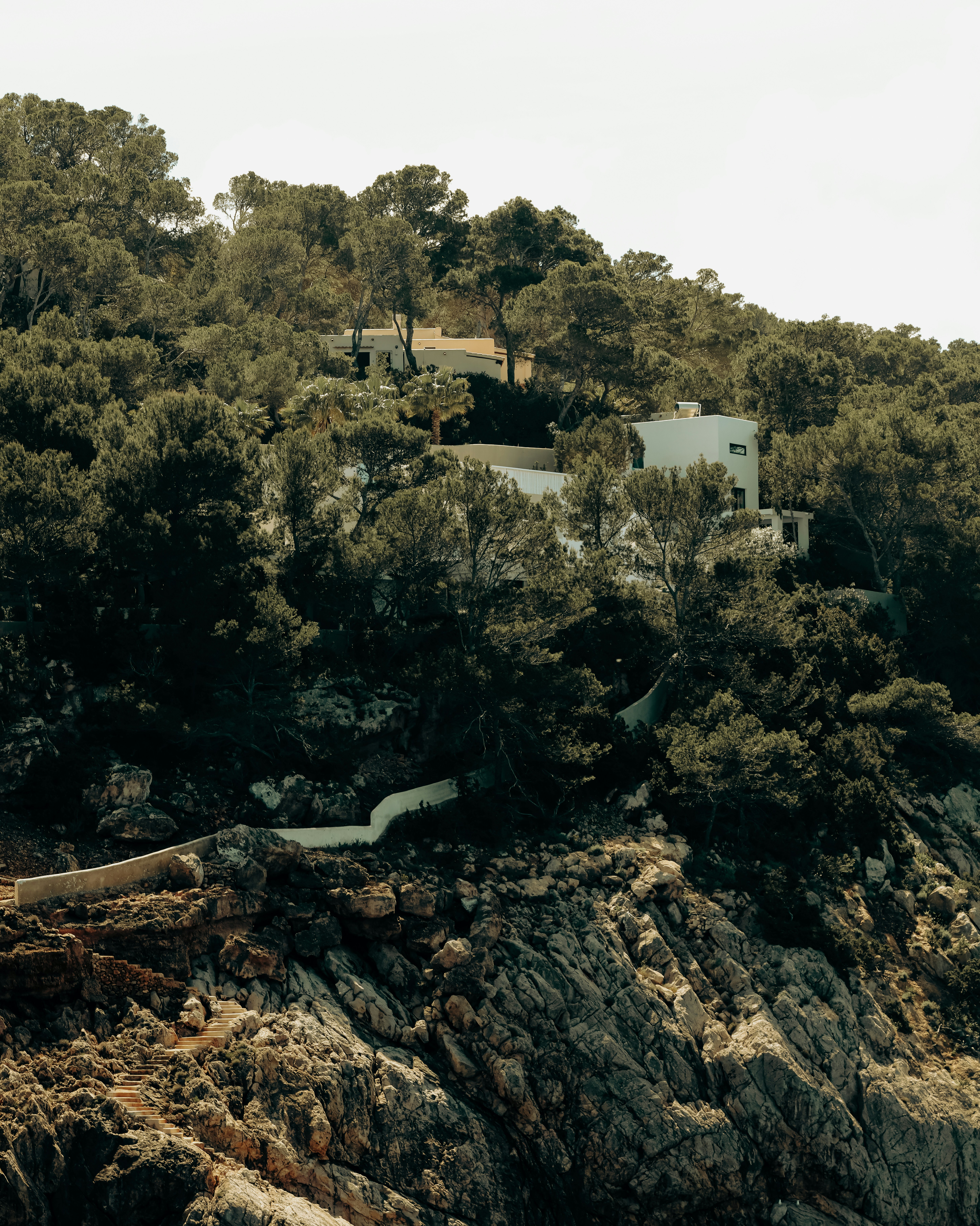 Cliffside Oasis: Modern White Houses Nestled Among Pines