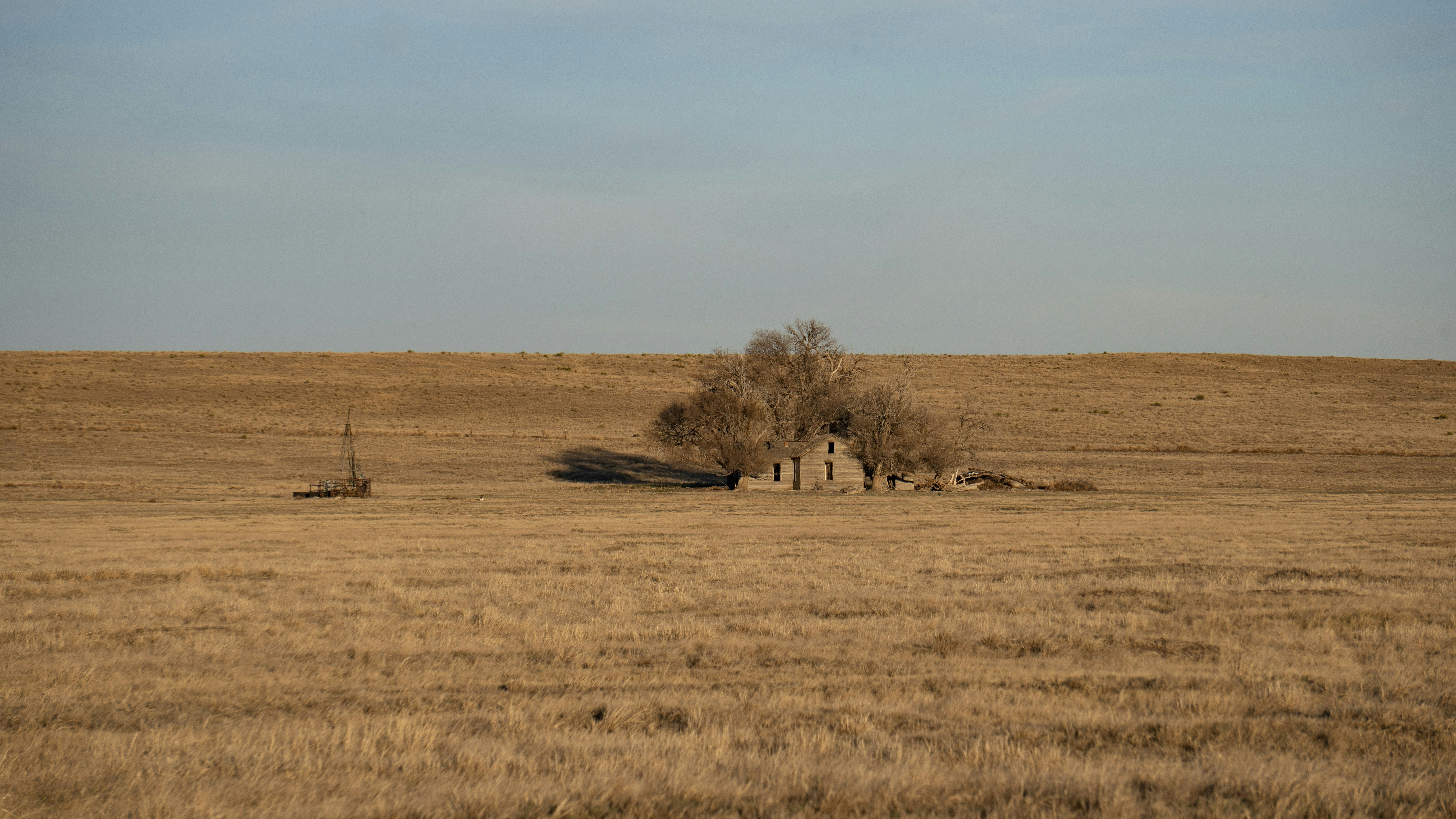 Lonely Tree Cluster at the Edge of the Prairie