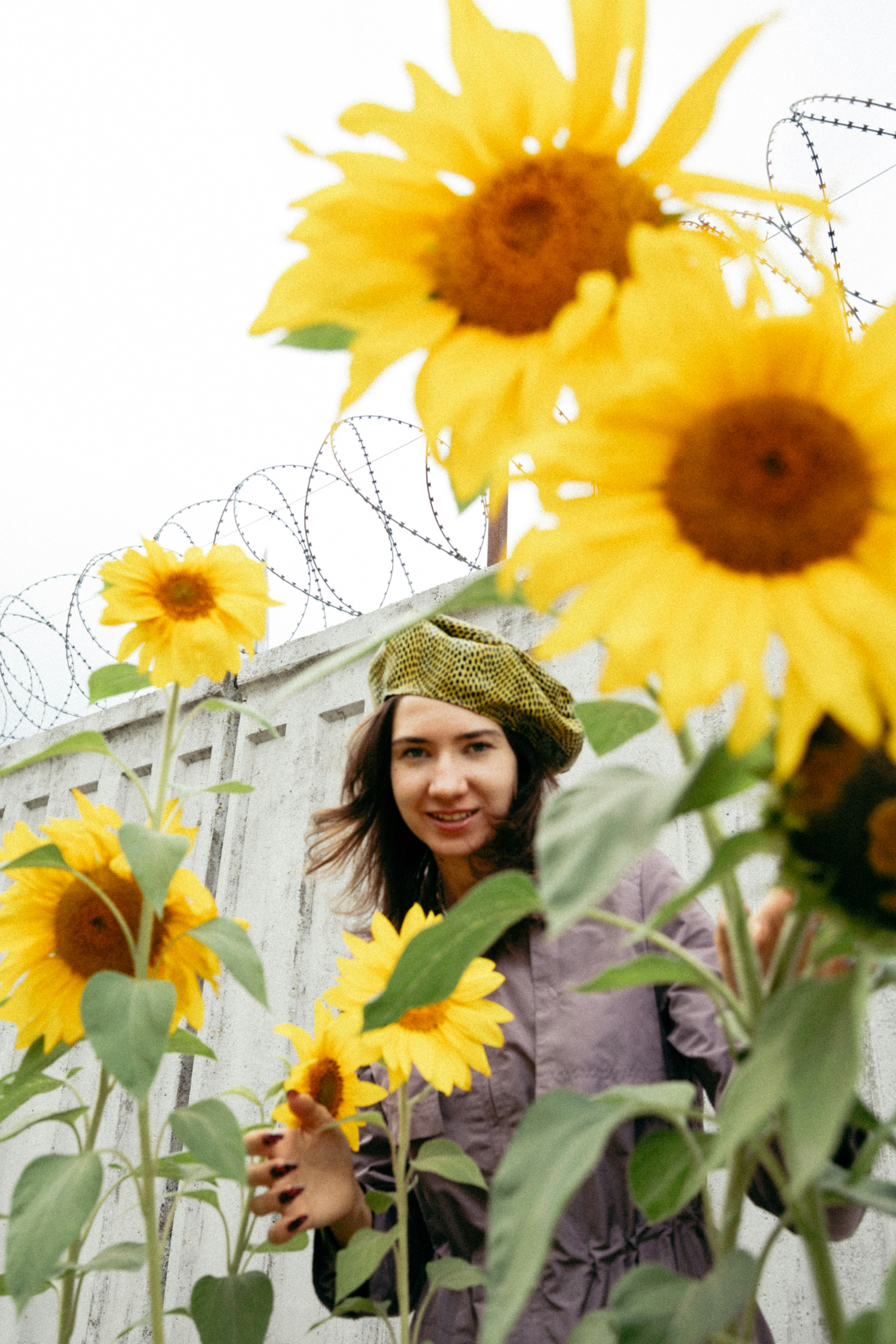 Sunlit Portrait in a Field of Sunflowers
