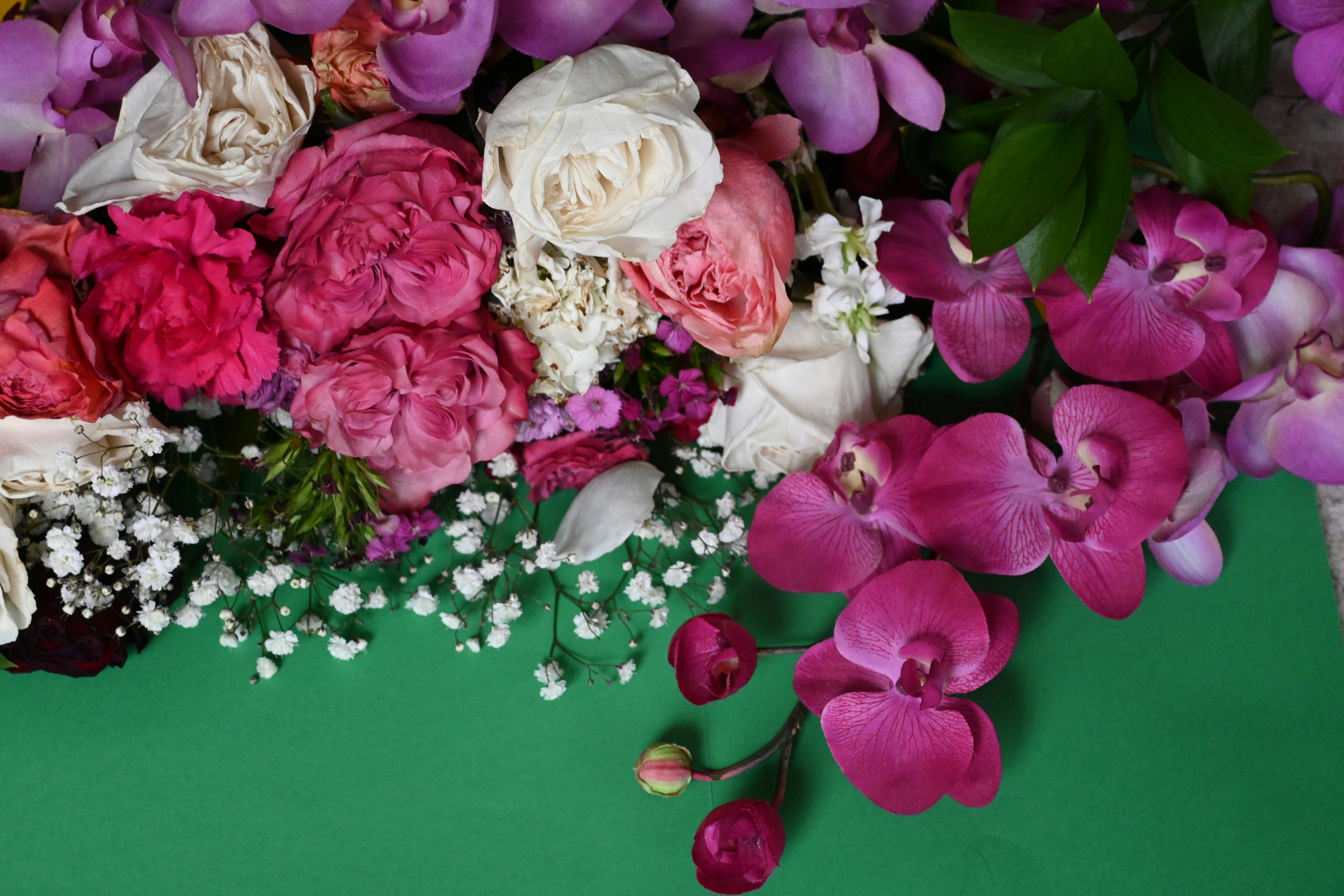 Bouquet Parade: A Green Backdrop Framing a Vivid Floral Cascade