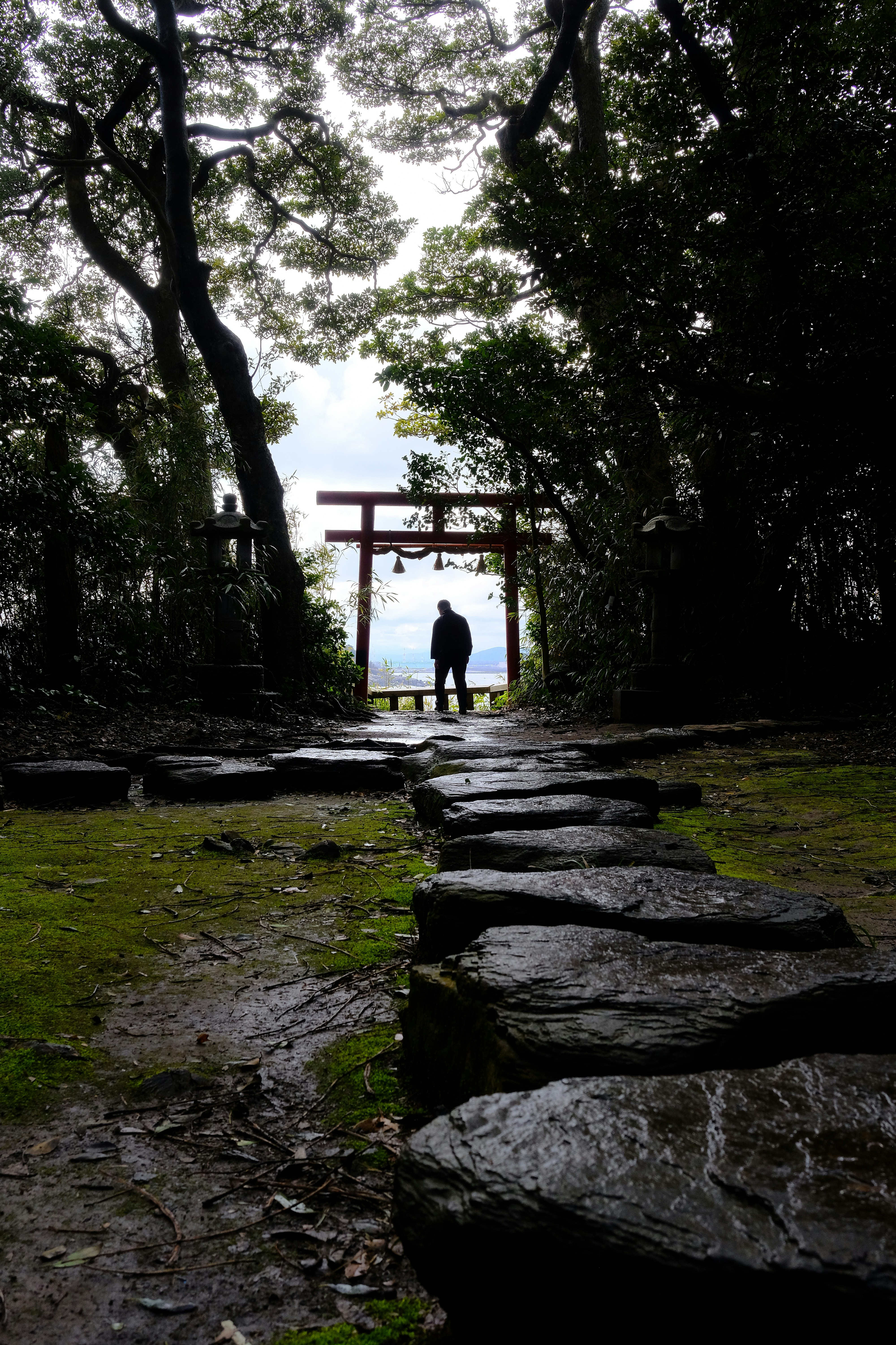 Silhouette at the Gate: A Path to the Sea