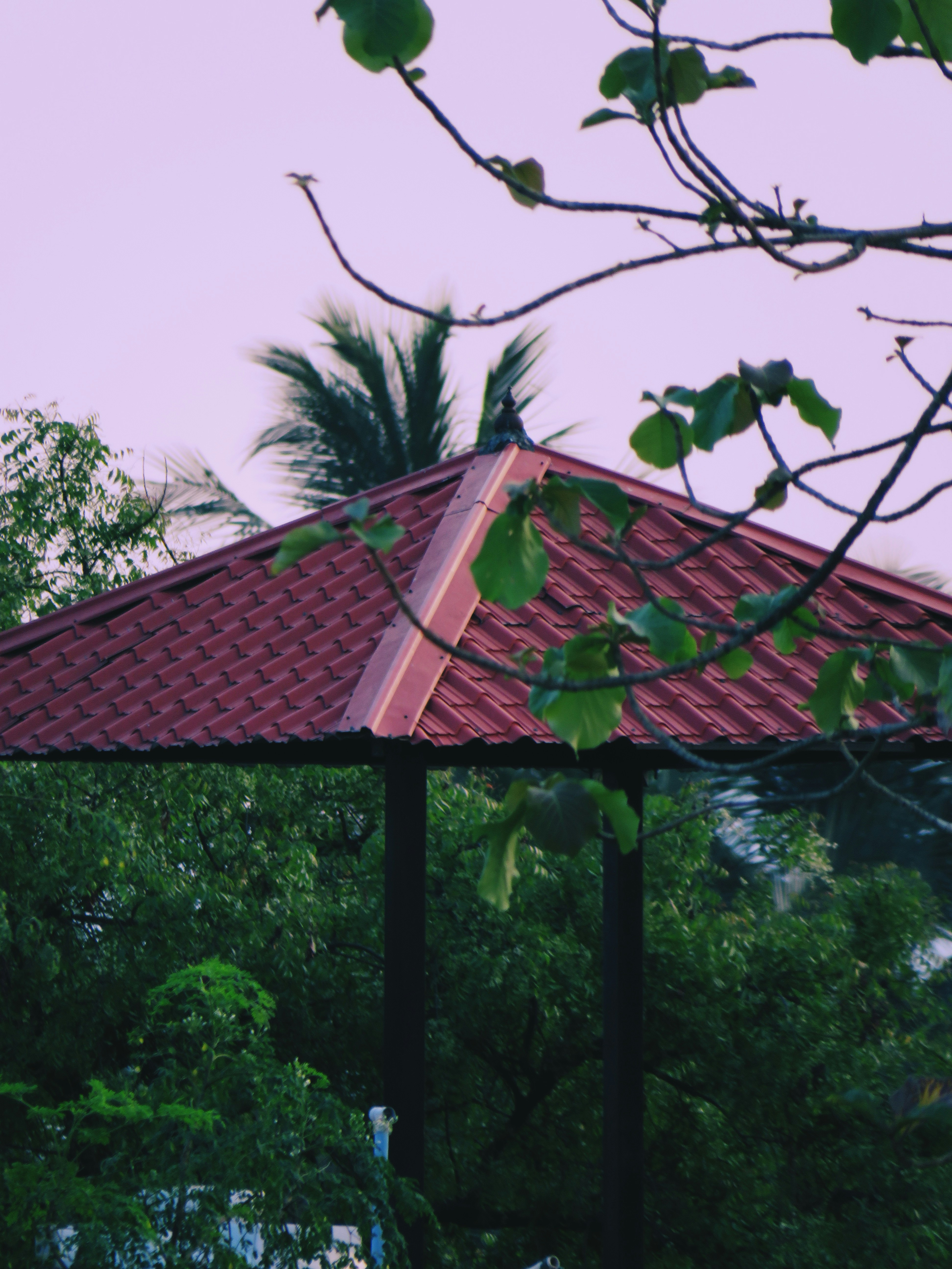 Red-tiled pavilion under leafy canopy
