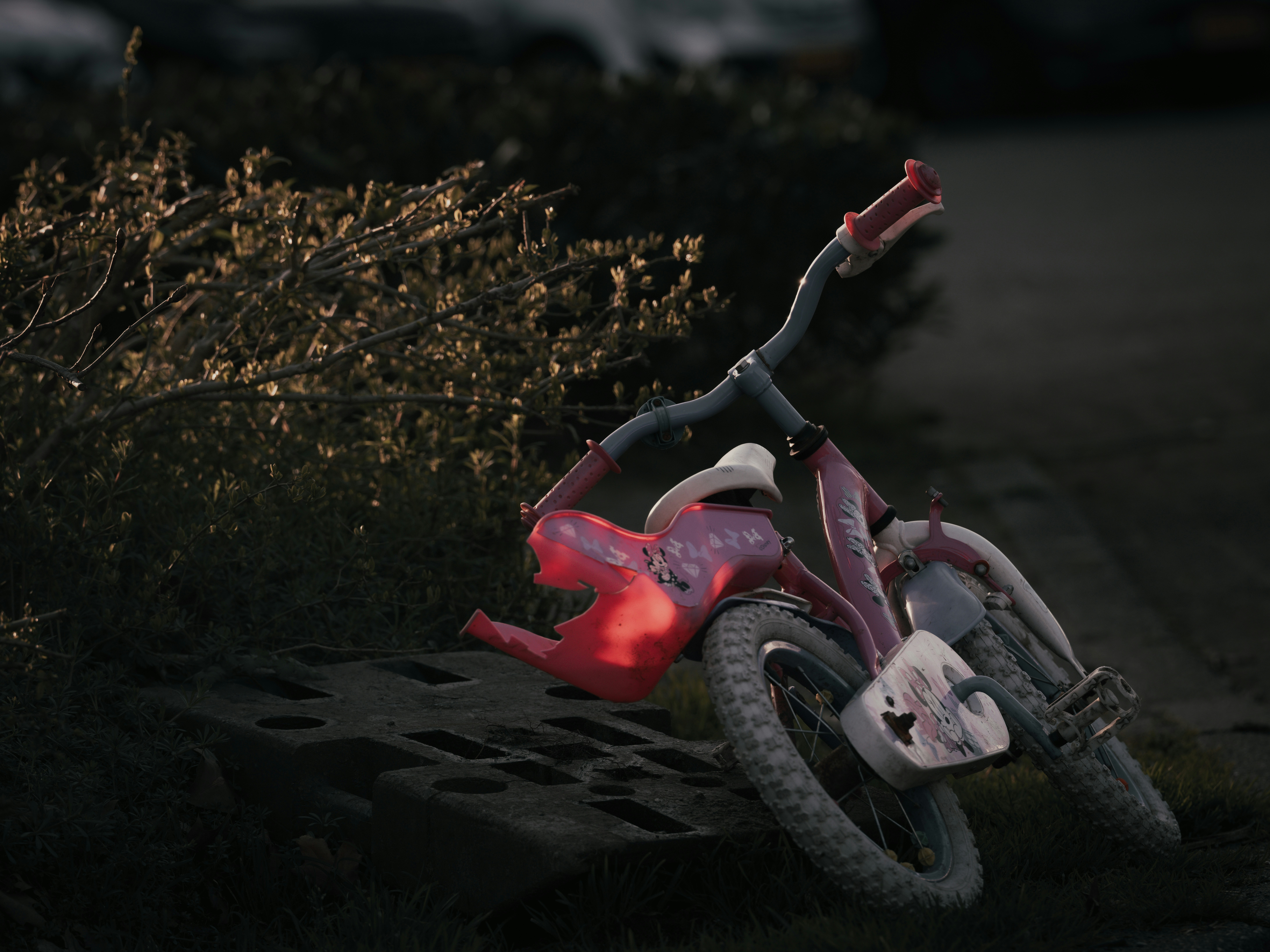 Forgotten Pedal Pony in the Dusk Garden