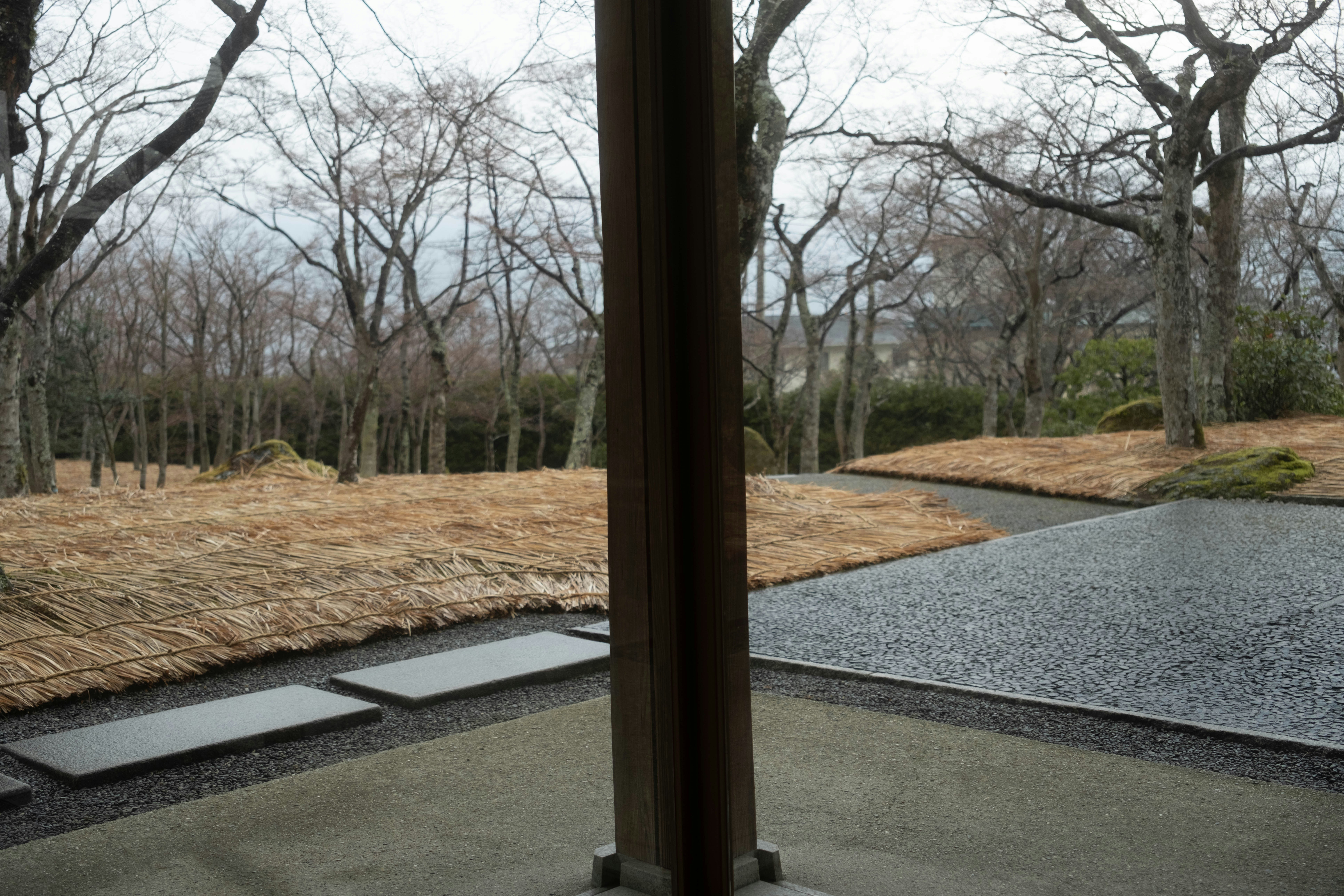 Silent Courtyard: Hidden Gravel Paths Under Dormant Trees