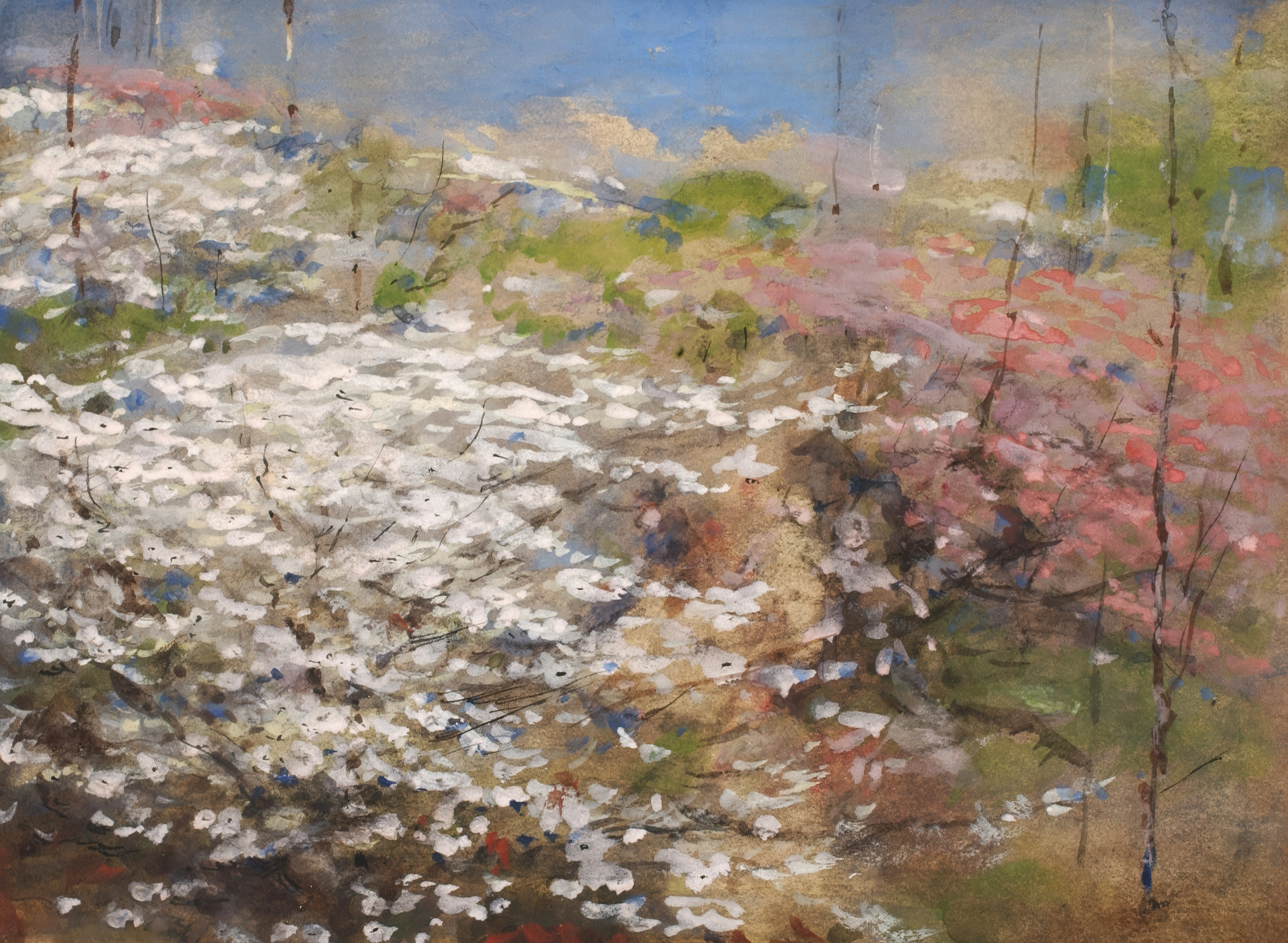 William Henry Holmes, Field of Blossoms, 1927, watercolor, sight 8 1/4 x 11 1/8 in. (21.0 x 28.3 cm), Smithsonian American Art Museum, Gift of Dr. Anna Bartsch Dunne, 1962.4.5
