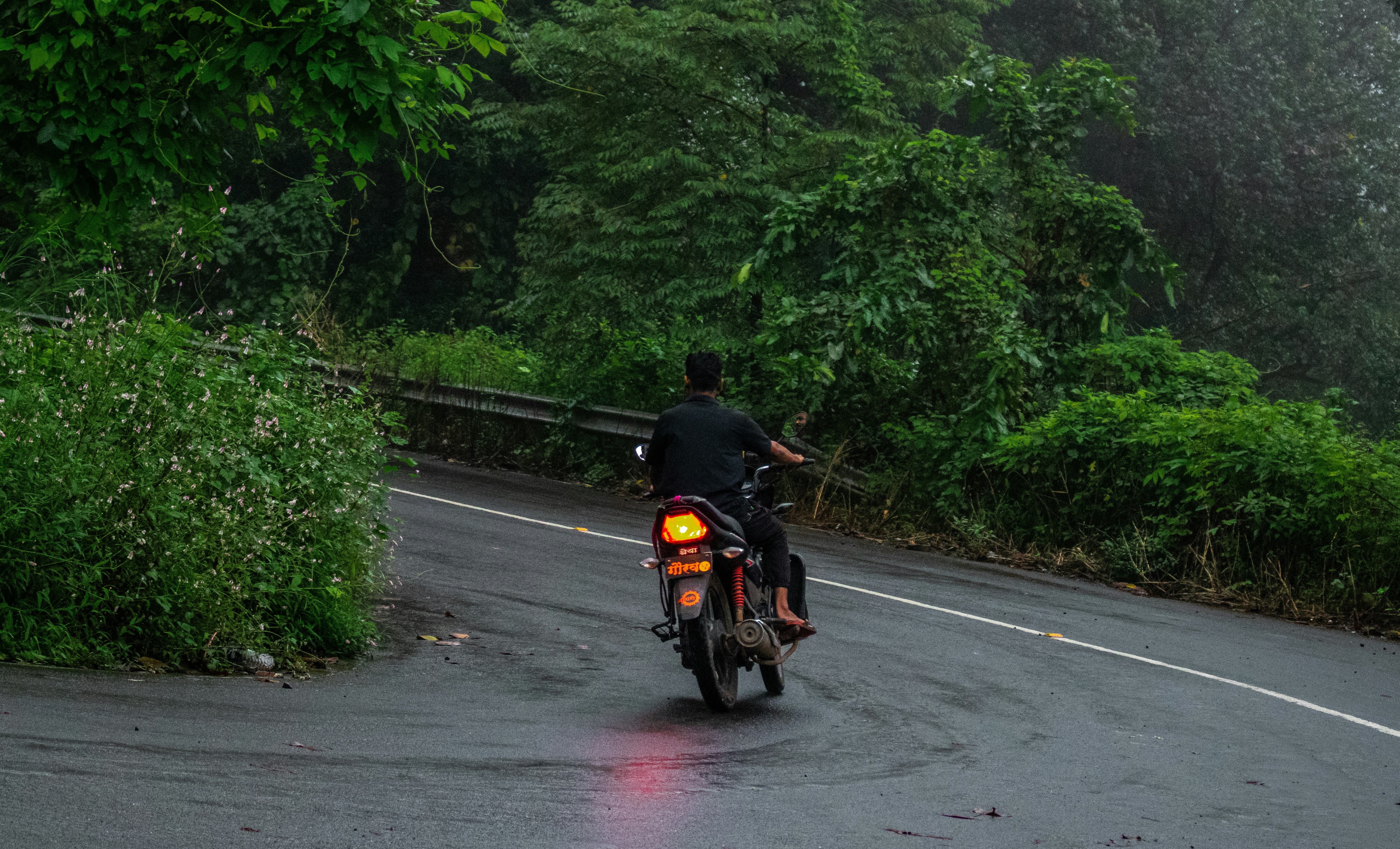 Rider on a Rain-Slick Curve: A Neon Taillight Through Dense Green.