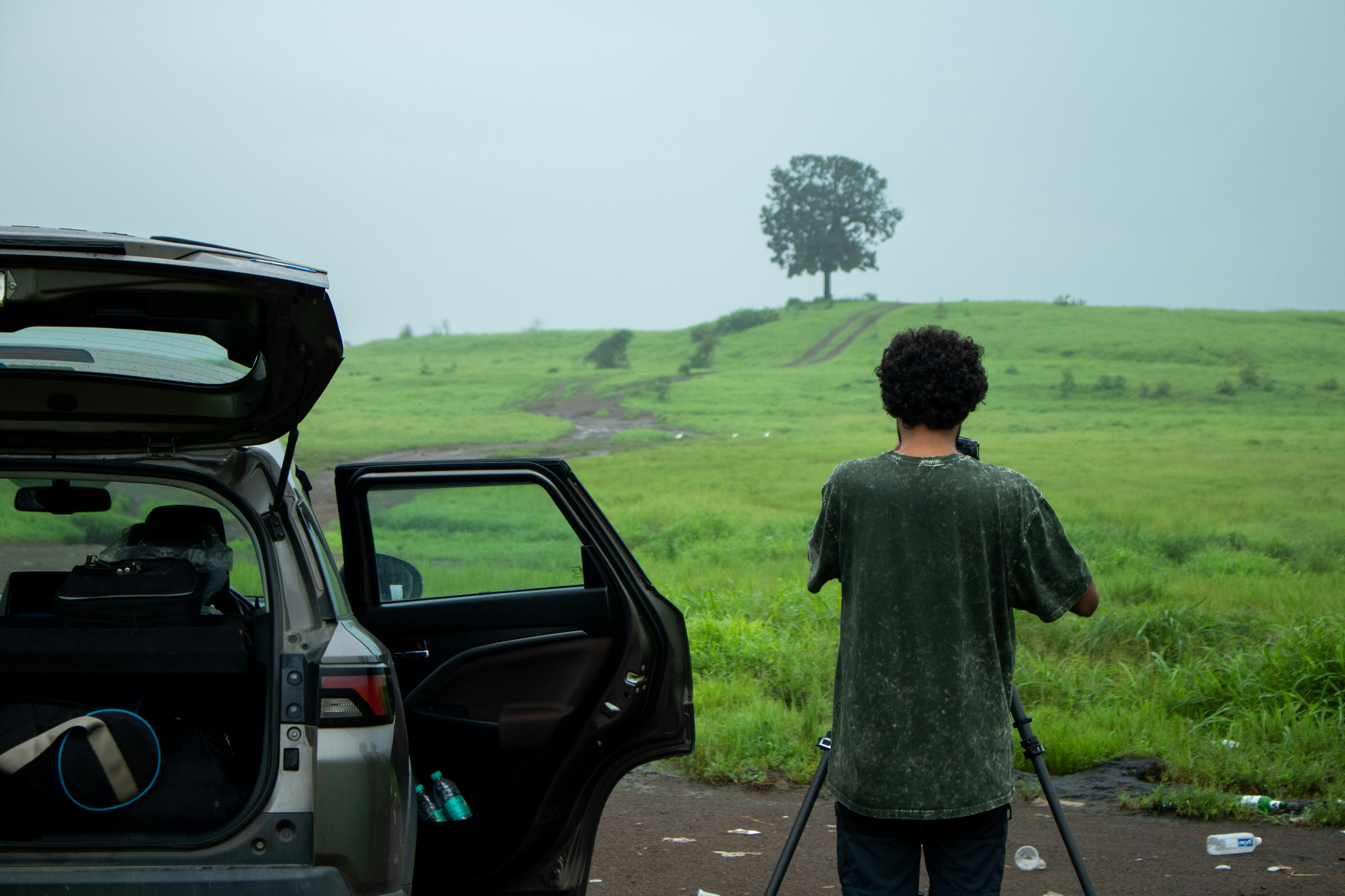Portrait in a Green Field: The Lone Tree and the Photographer